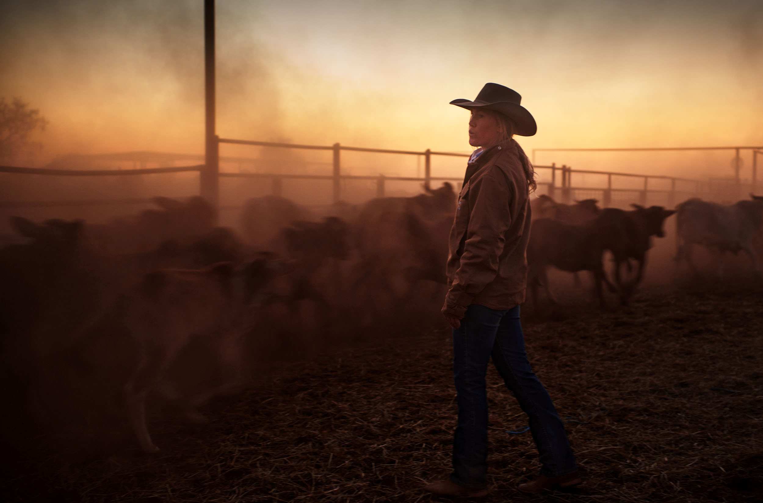 Not a farmer's wife - ABC News