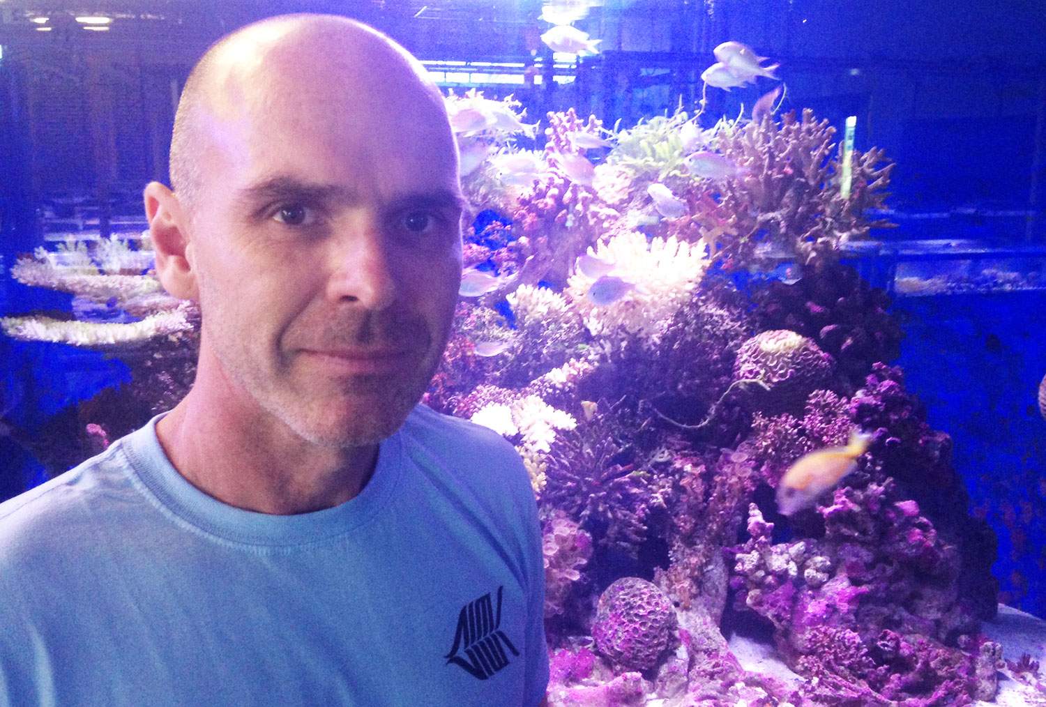 Coral spawning: Researchers use annual Great Barrier Reef event to test ...