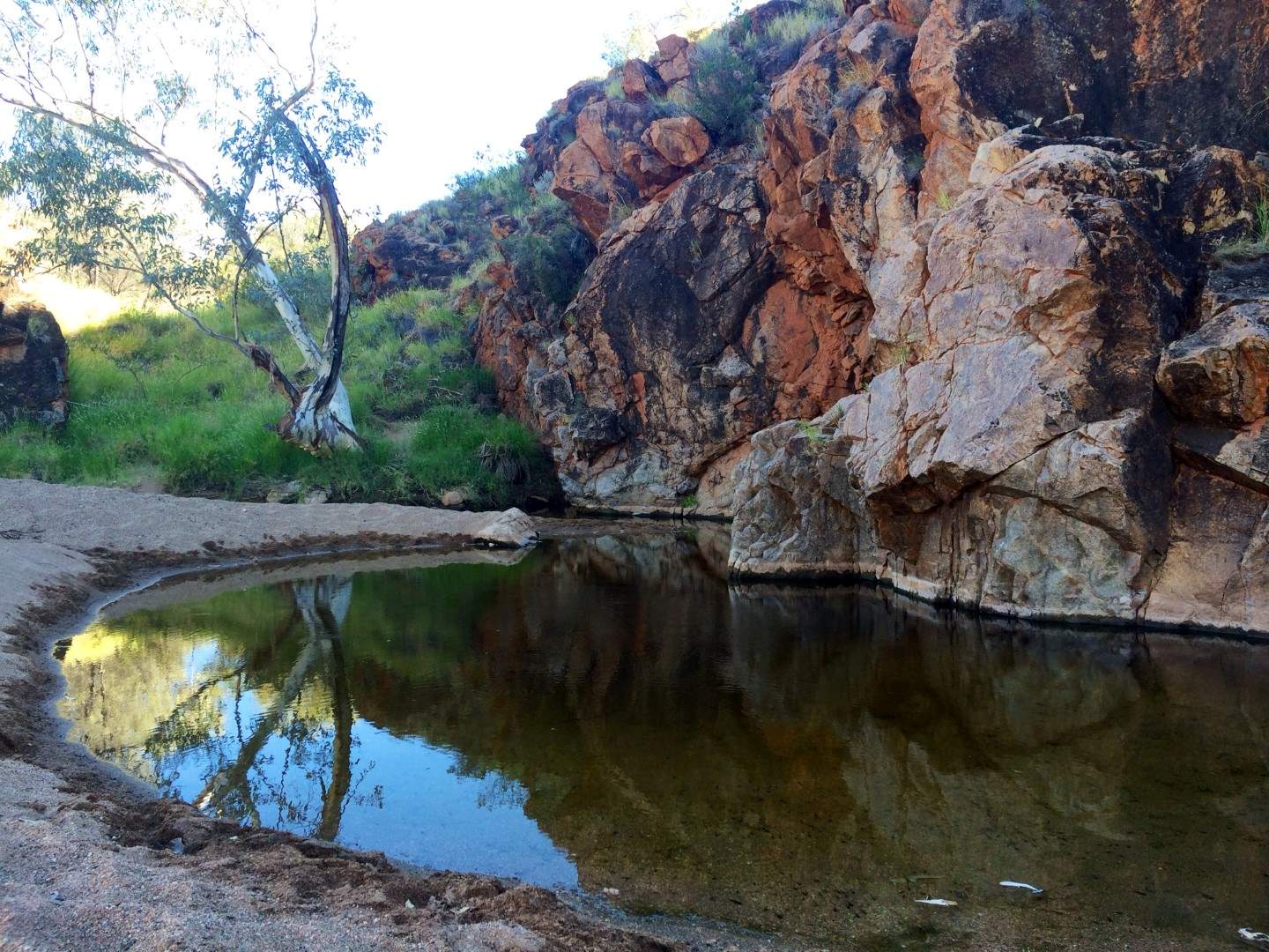 Red Centre businesses hoping to turn green grass into tourism dollars ...