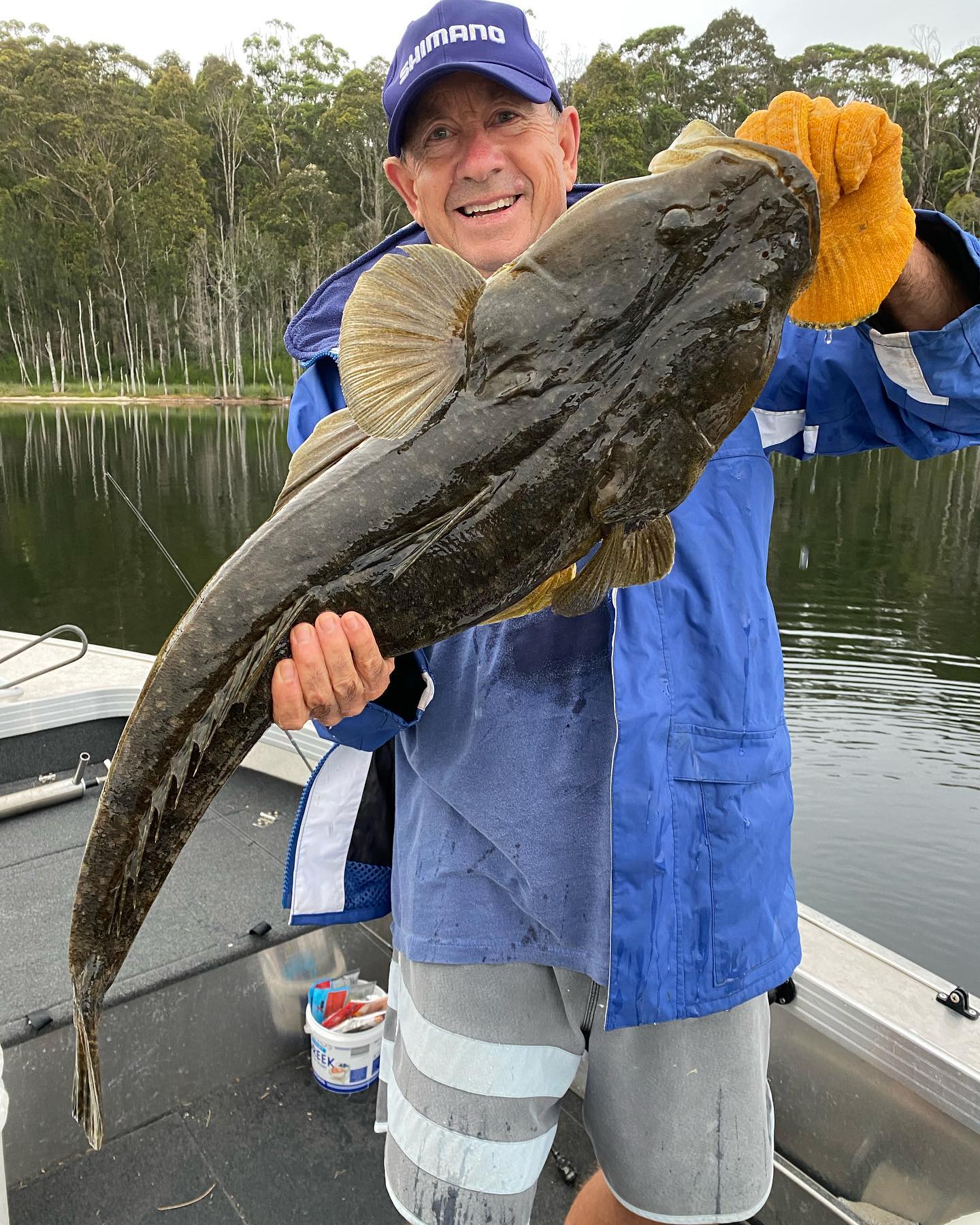 The Big Fish - ABC listen