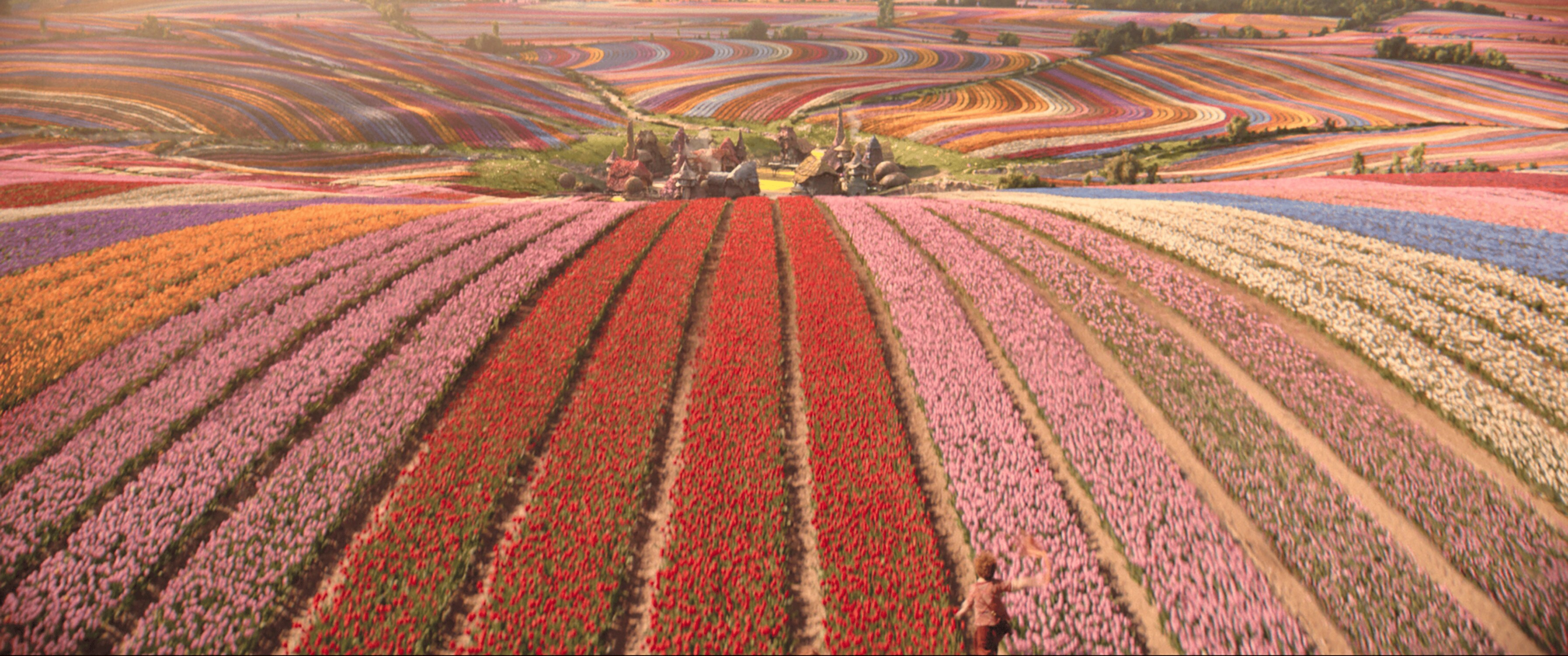 Getting Wicked from stage to screen took 9 million tulips and an endless sunset - ABC News