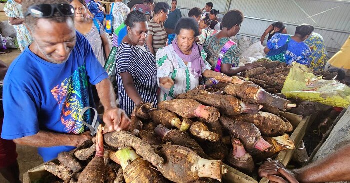 Saiklon rikavari igohet yet long Vanuatu - ABC Pacific