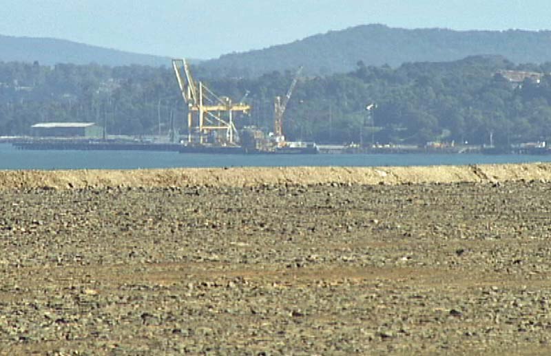 Tasmanian Greens press Gunns' receivers to name potential pulp mill ...