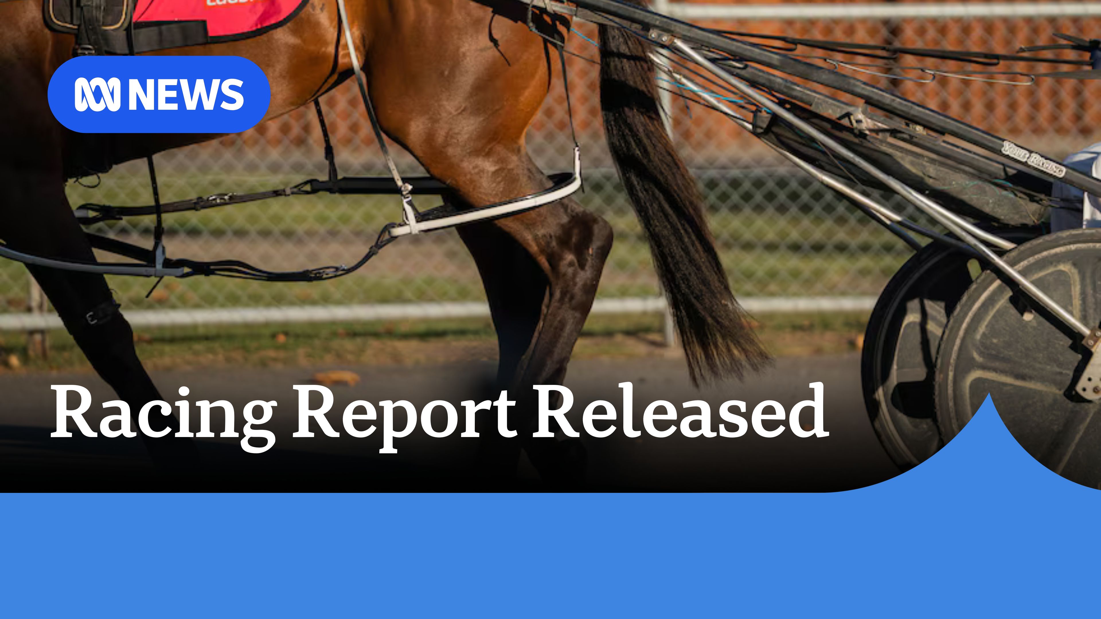 Charges laid against Tasmanian racing participants - ABC News