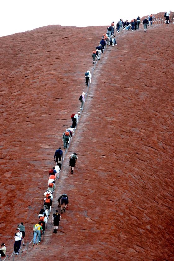 Tourist poo 'killed rare shrimp' on Uluru - ABC News