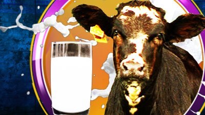 Milk Wars - Behind The News