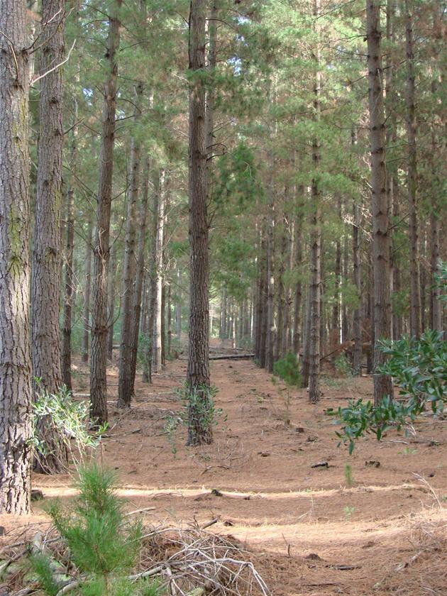 NSW Country Hour - ABC listen