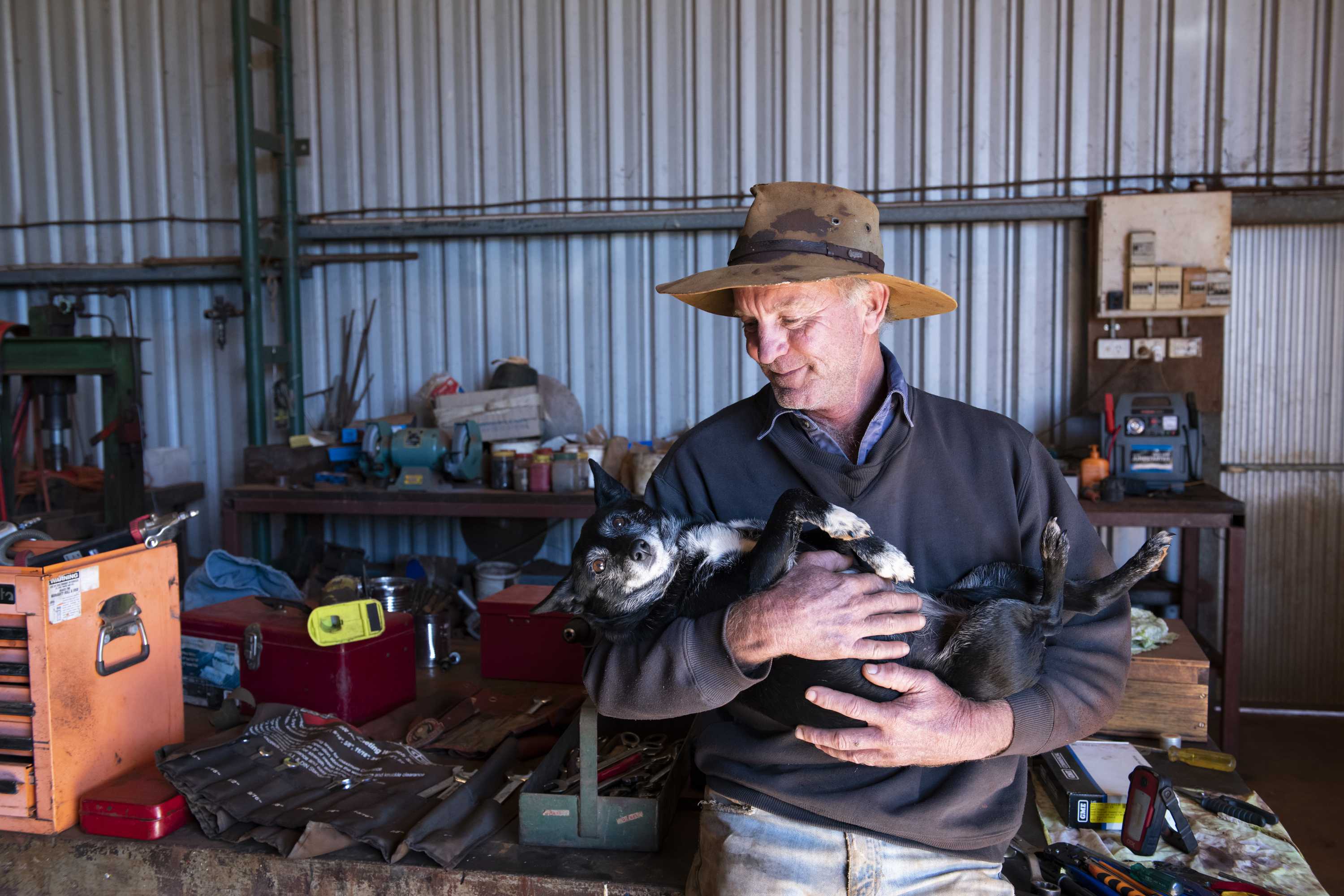 In The Shed: Mark Weis - ABC listen