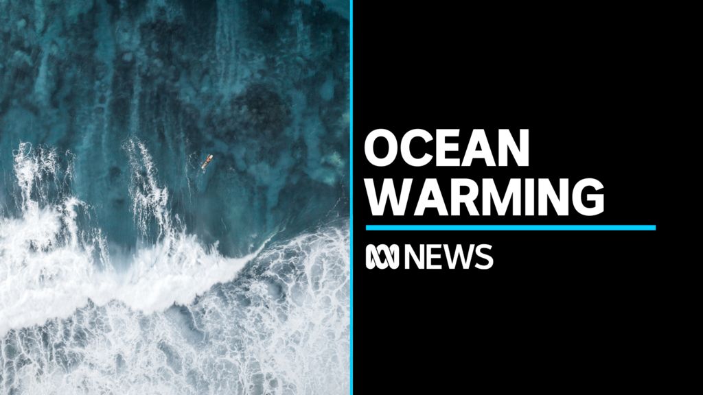 New data suggests ocean temperature higher than last year - ABC News