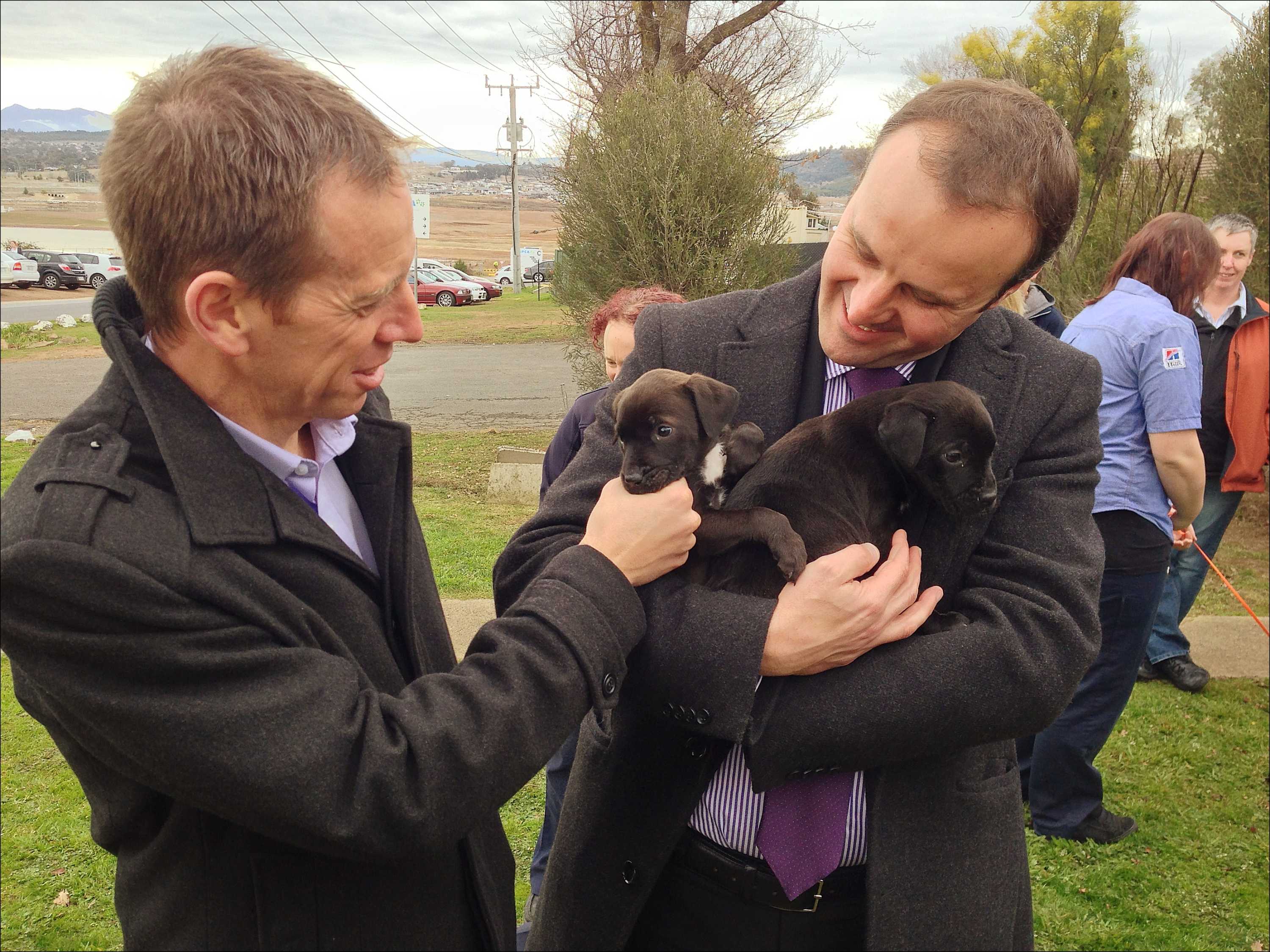 New home for Canberra RSPCA - ABC News