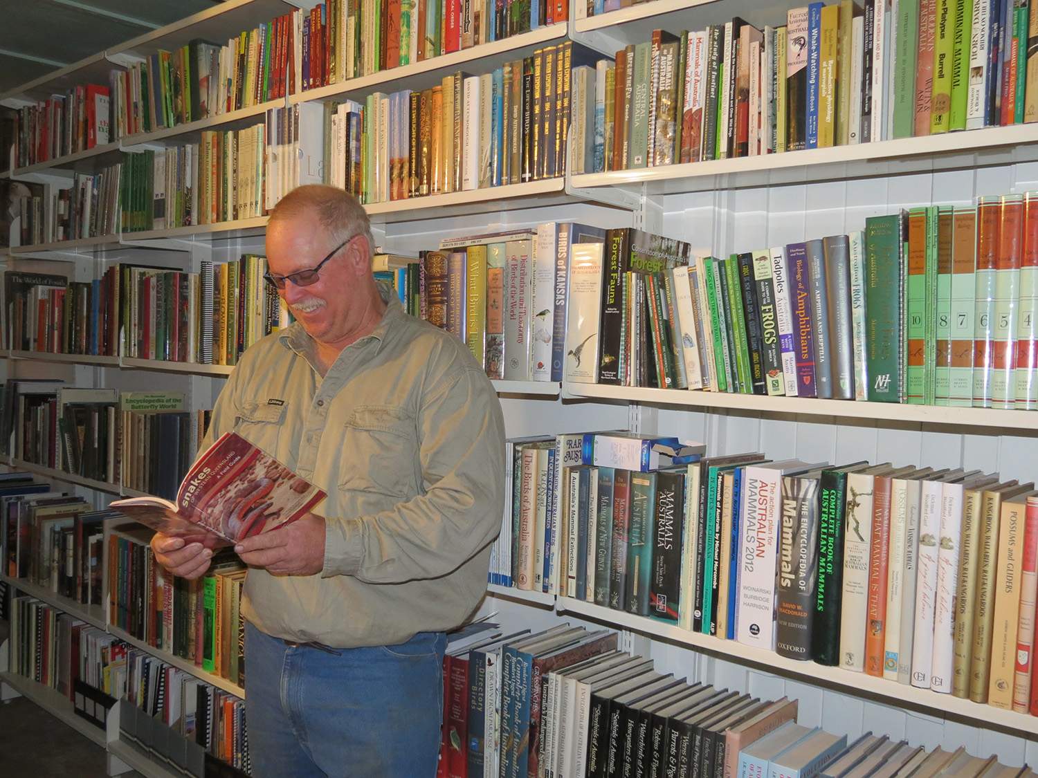 New spider species discovered in garden near Longreach, scientist ...