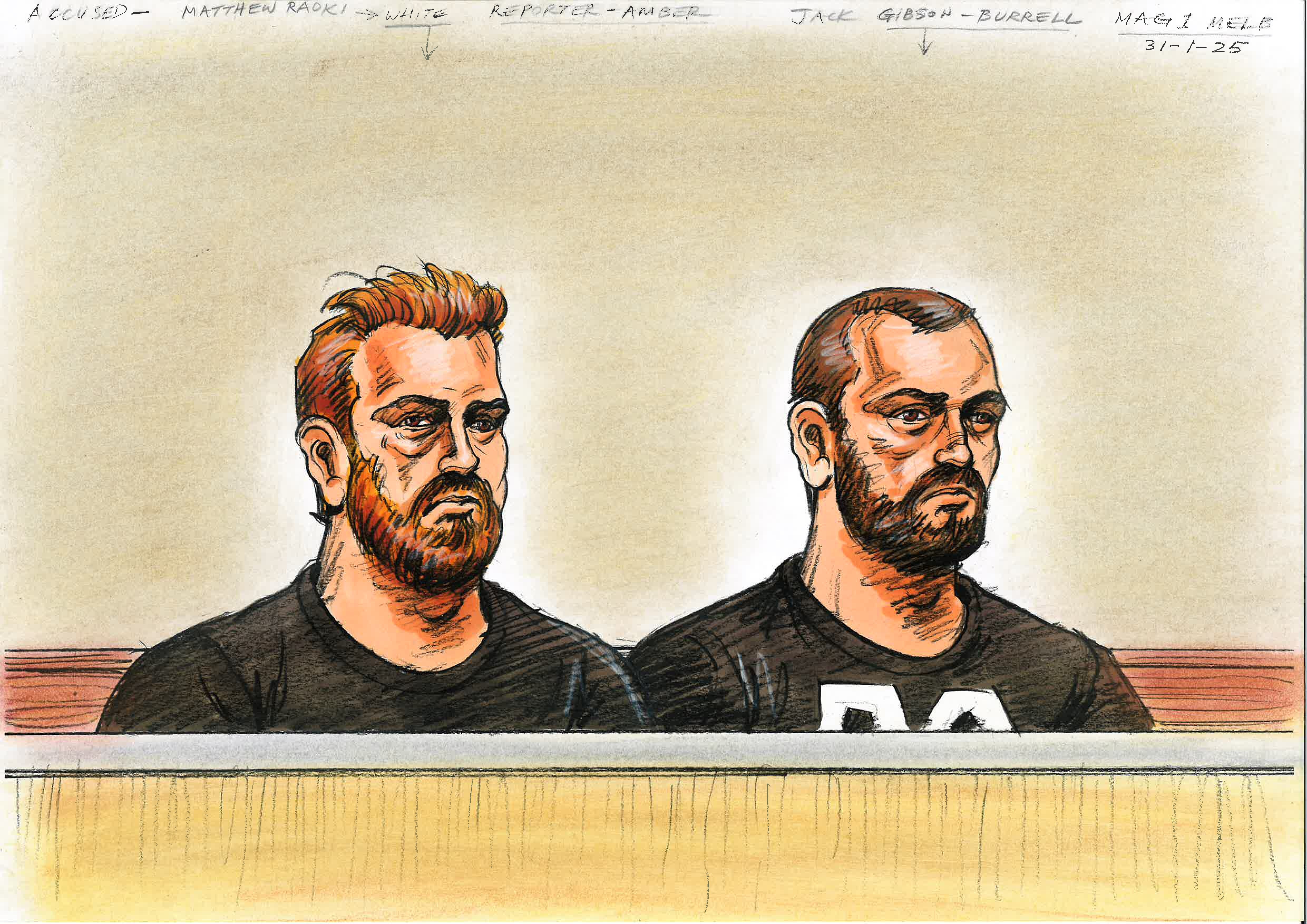 Police seek FBI help in case against alleged Pam the Bird graffiti ...