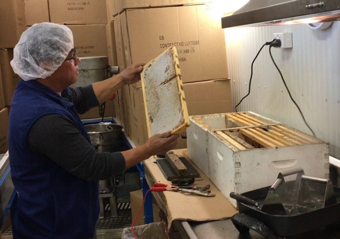 The start of the process to extract and package honeycomb - ABC News