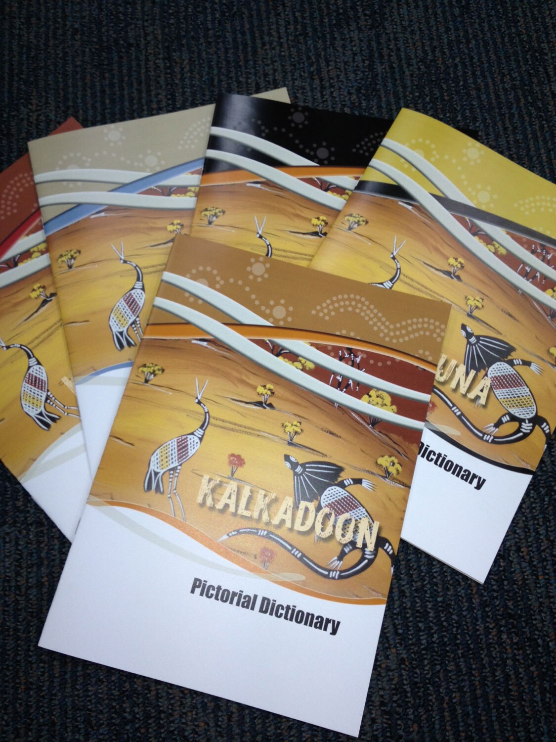 Hope new pictorial dictionaries will preserve Indigenous language - ABC ...