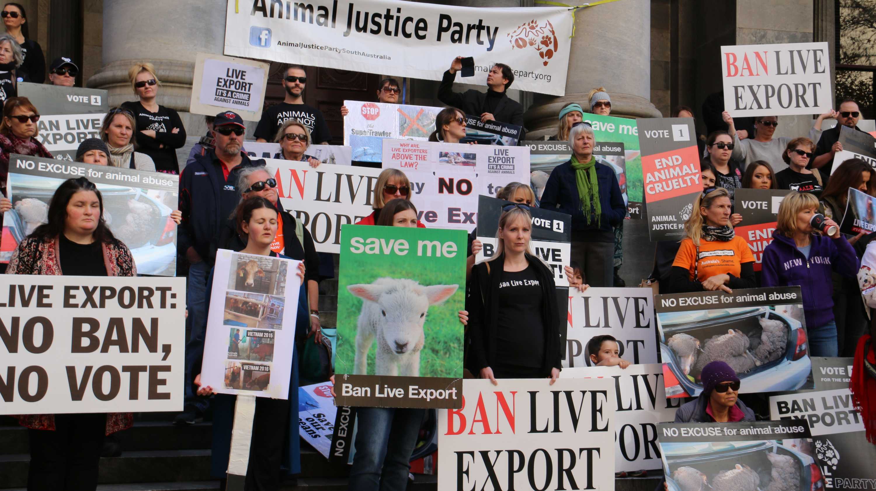 Live export cruelty: Hundreds rally outside SA Parliament - ABC News