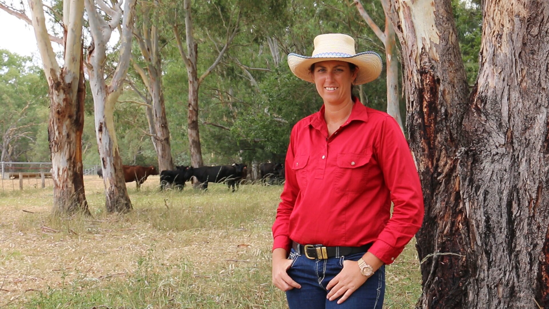 Agriculture among 180,000 fee-free TAFE courses offered as part of ...