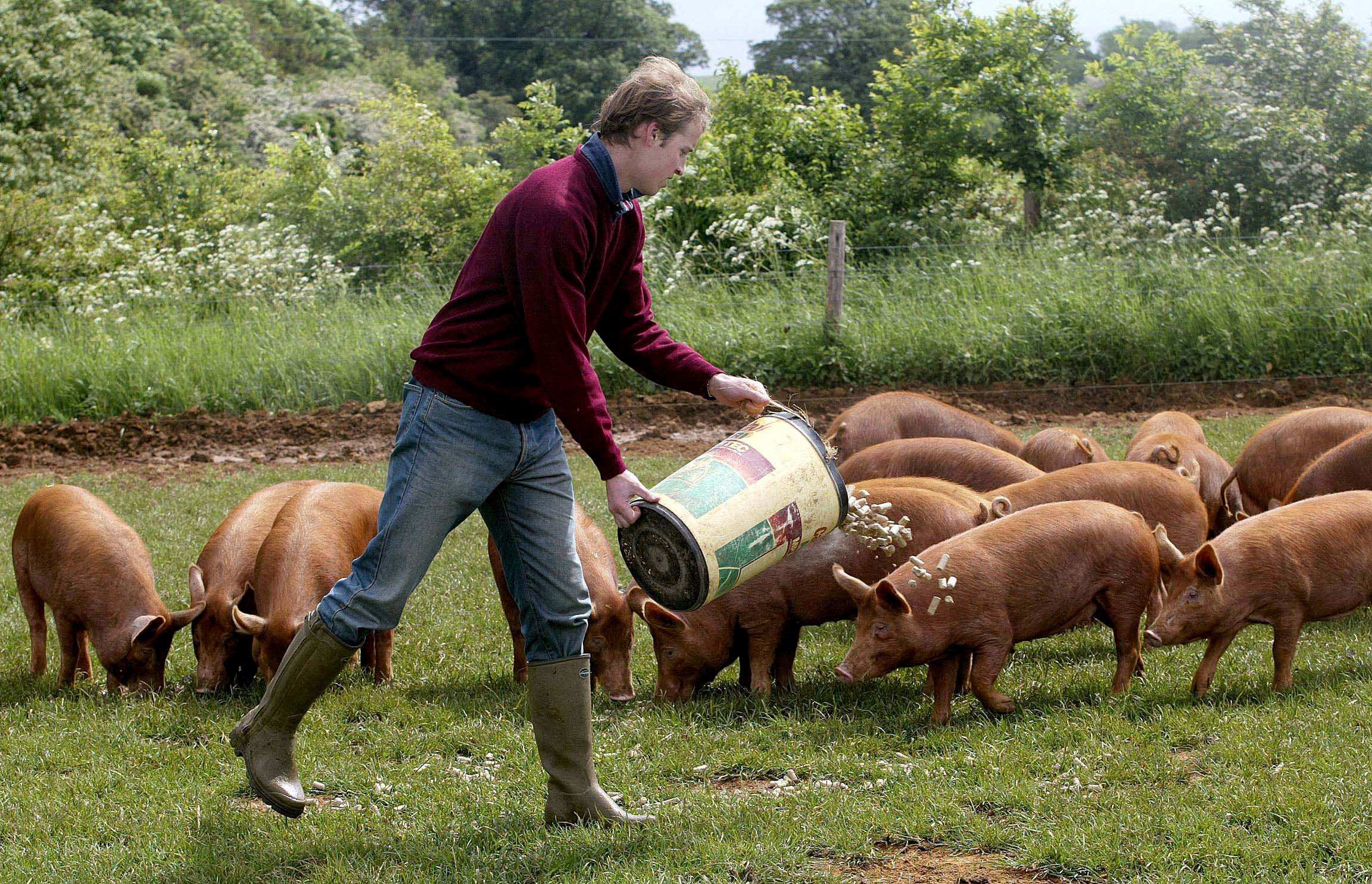 Prince William to study farming at Cambridge University after Royal Air ...