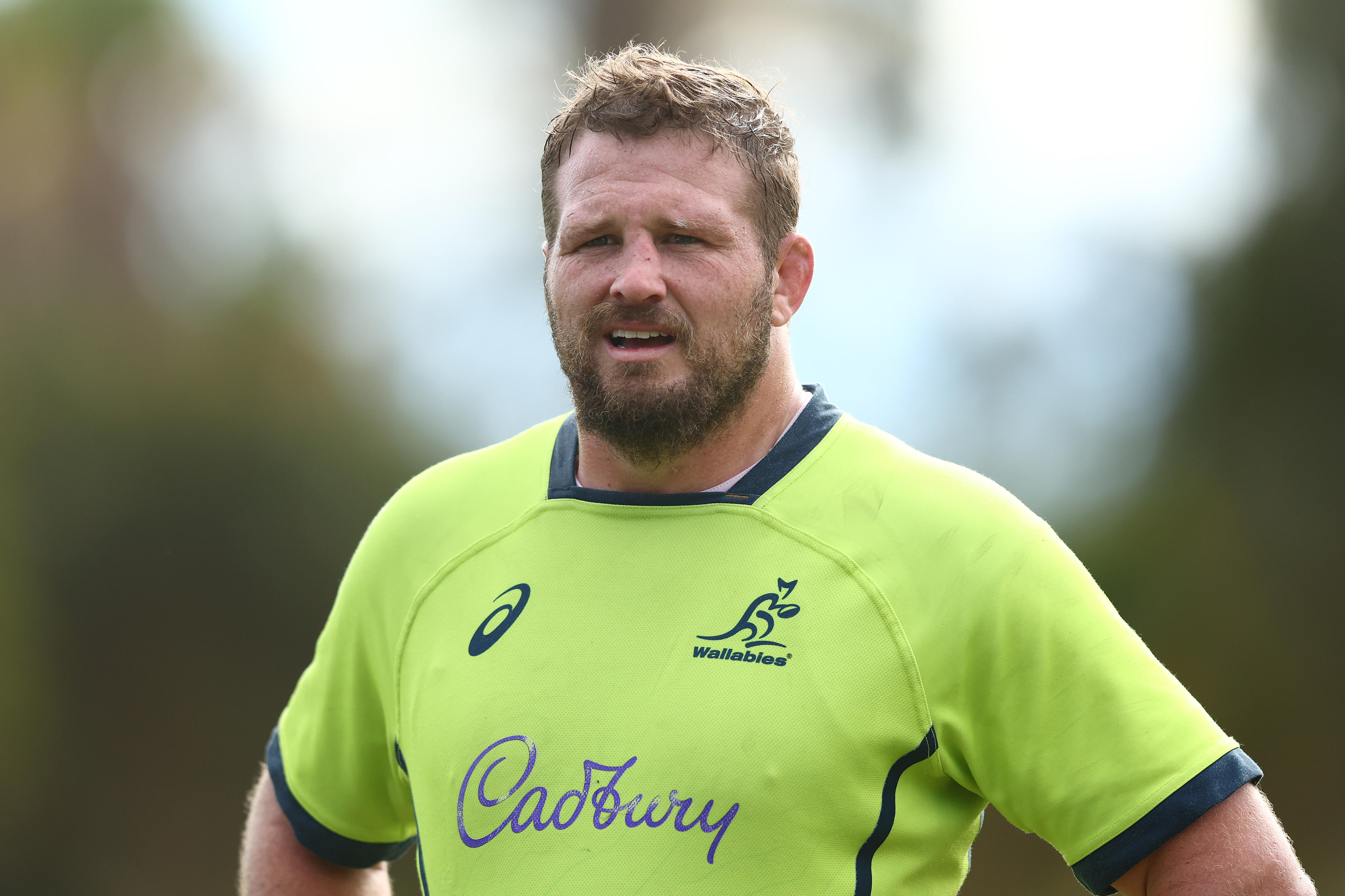 Rugby Championship ScoreCentre: Springboks vs Wallabies — live scores ...