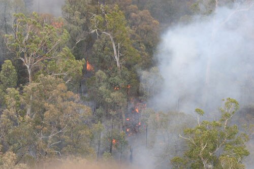 Lasting damage to the Snowy Mountains - ABC News