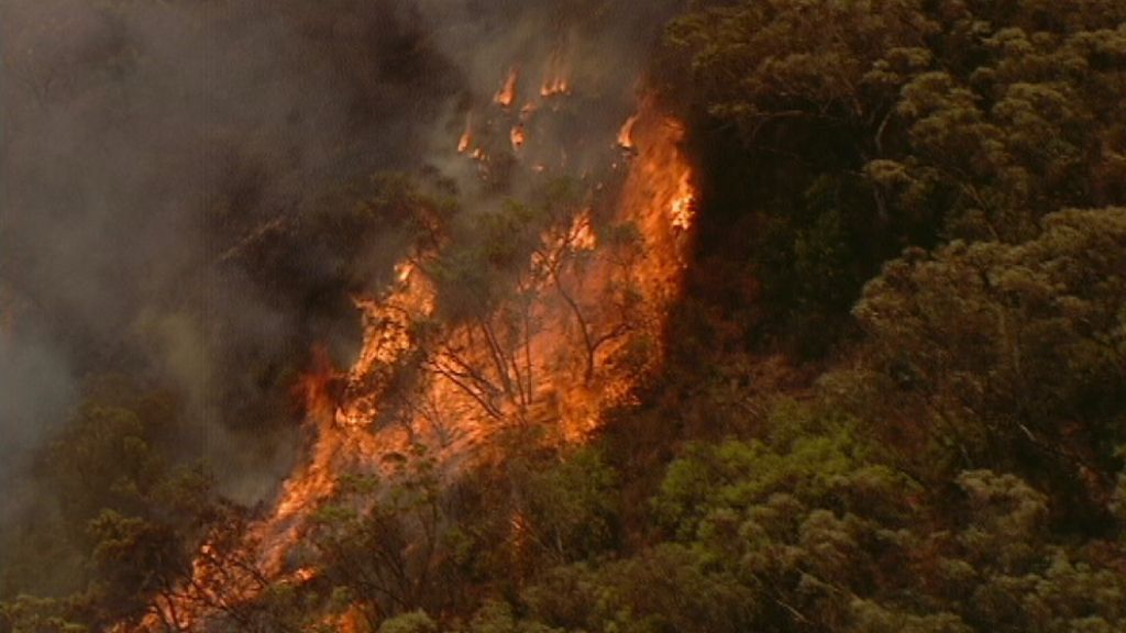 Coronial inquest into Coonabarabran bushfires begins - ABC News