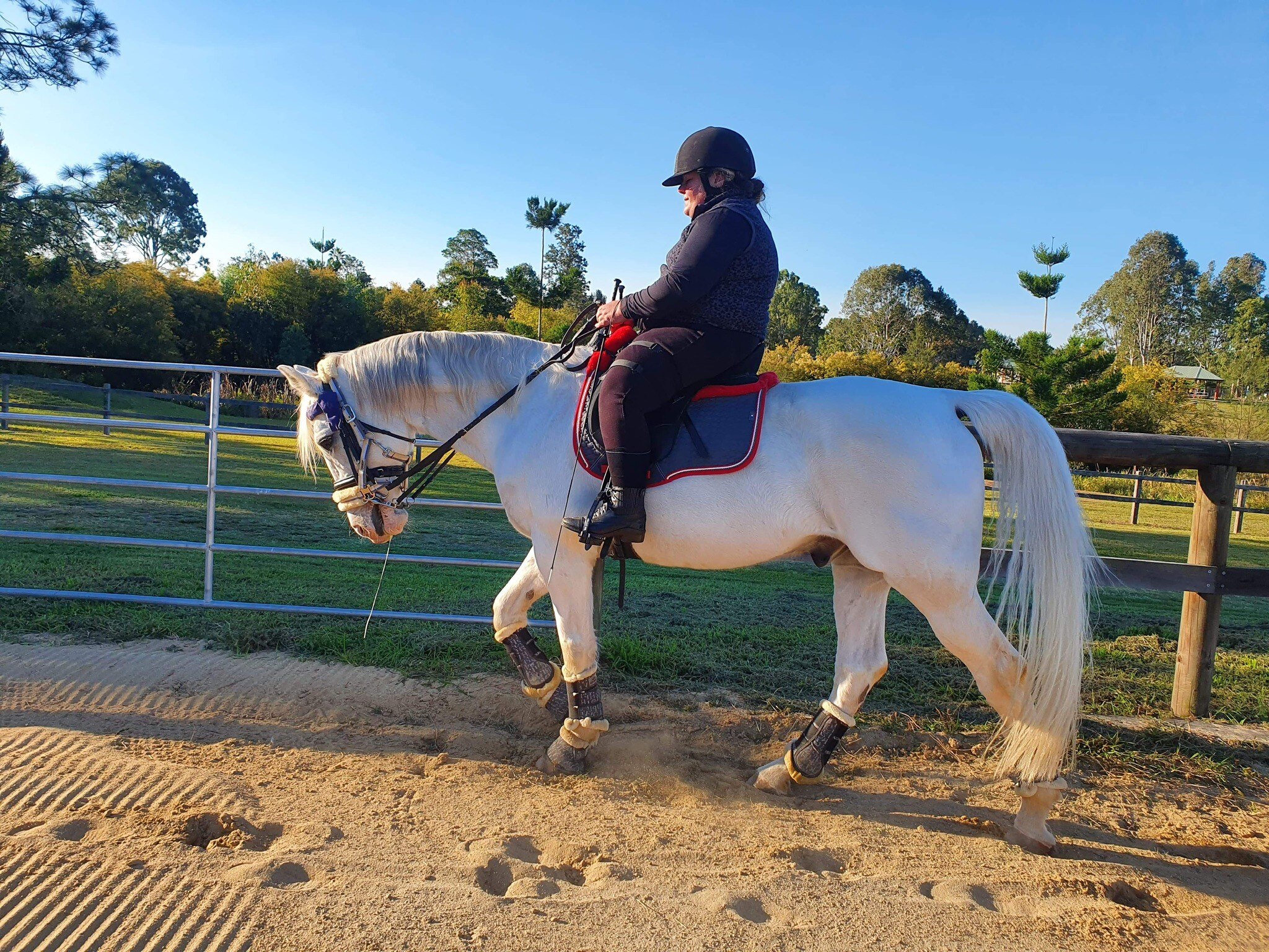 Paralympians Natalie Smith and Curtis McGrath reflect on how sport ...
