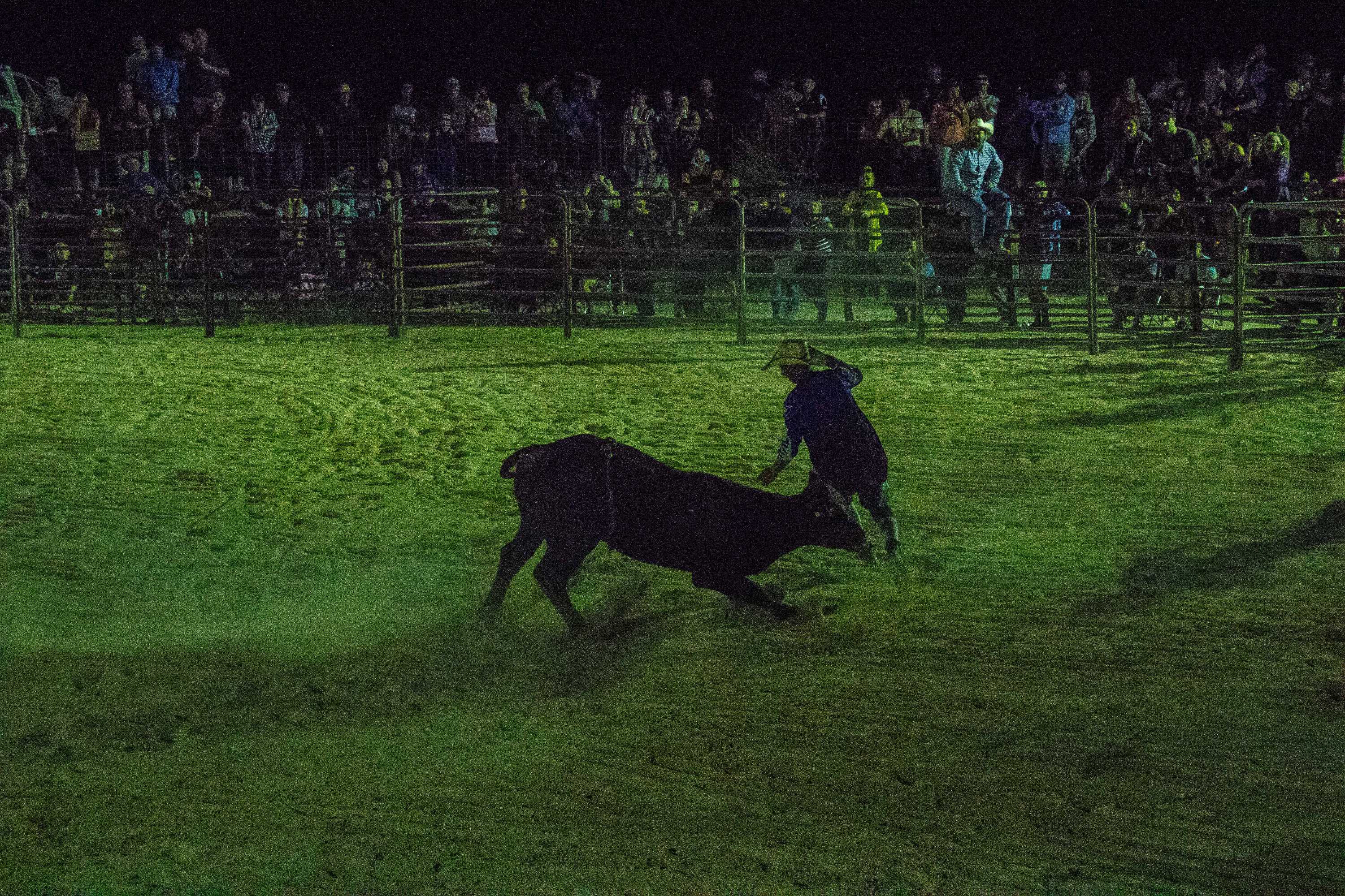 Rodeo rider Jeremiah Day gets crushed by 650kg bull and walks away to ...