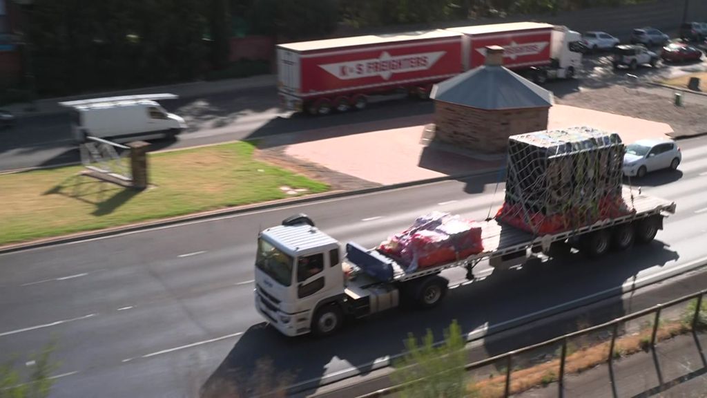 Asian elephant 'Burma' arrives in Adelaide from New Zealand - ABC News