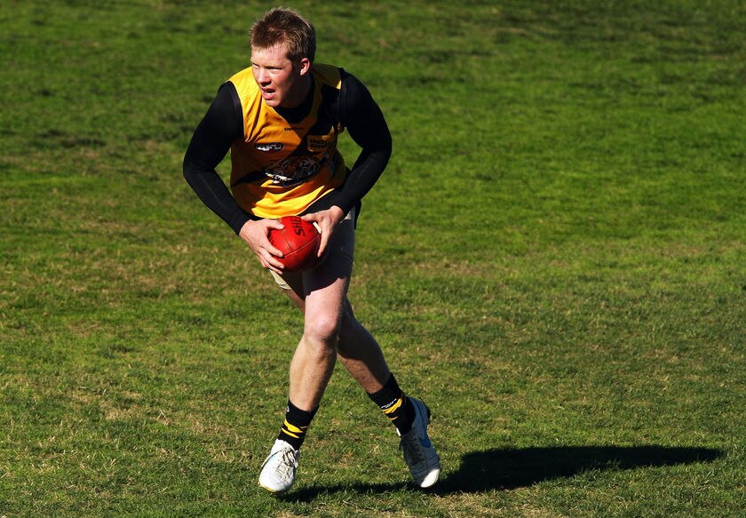 Riewoldt back for Crows clash - ABC News