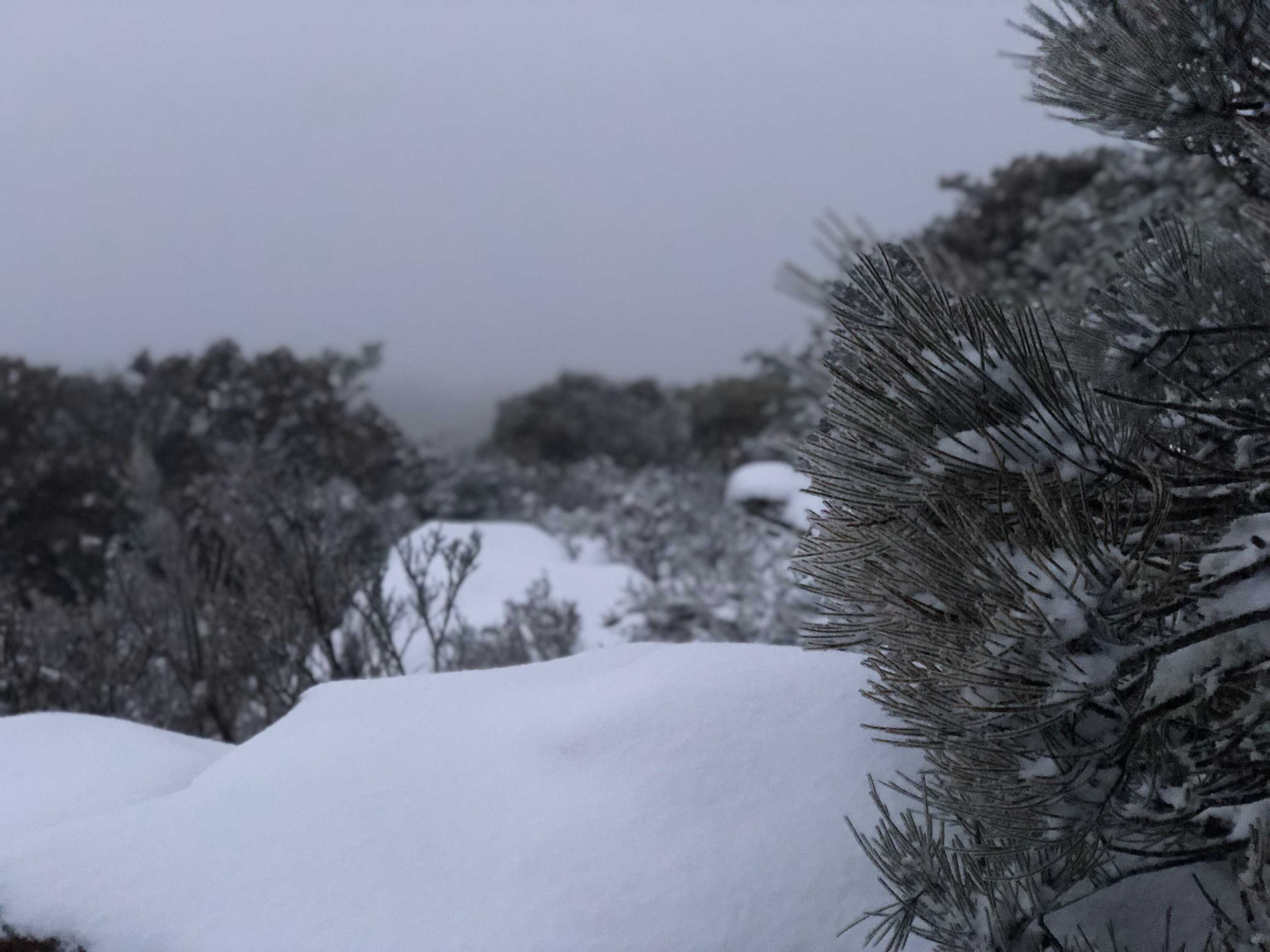 What is thundersnow and how does it happen? - ABC News