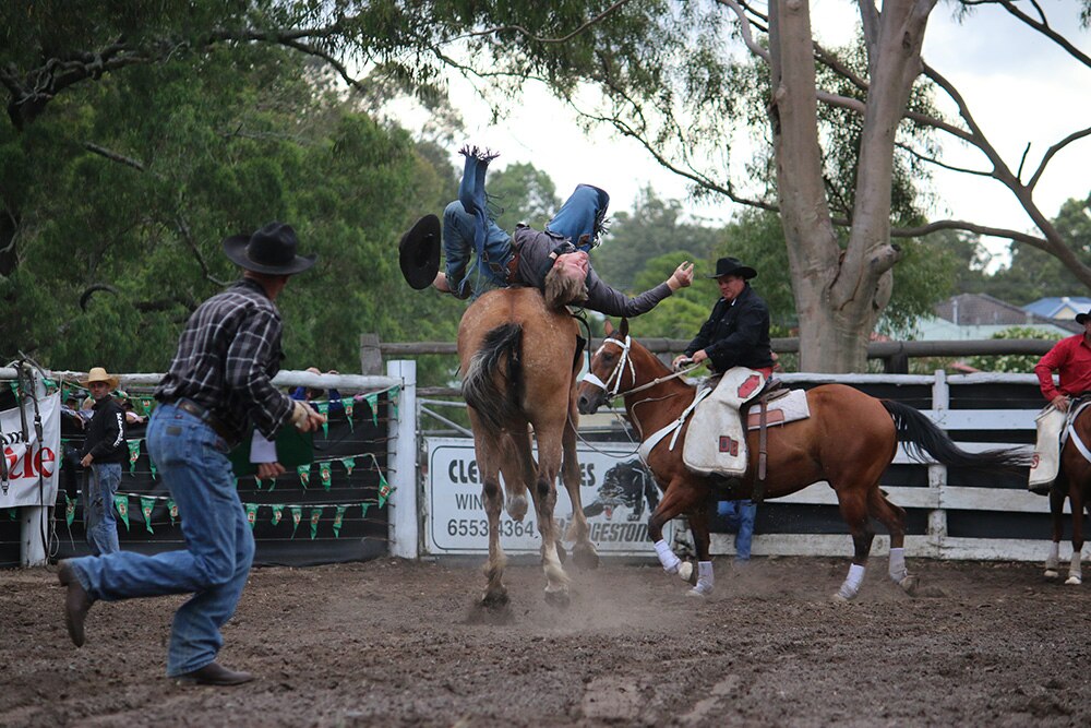 Record crowd at Wingham Summertime Rodeo in New South Wales - ABC News