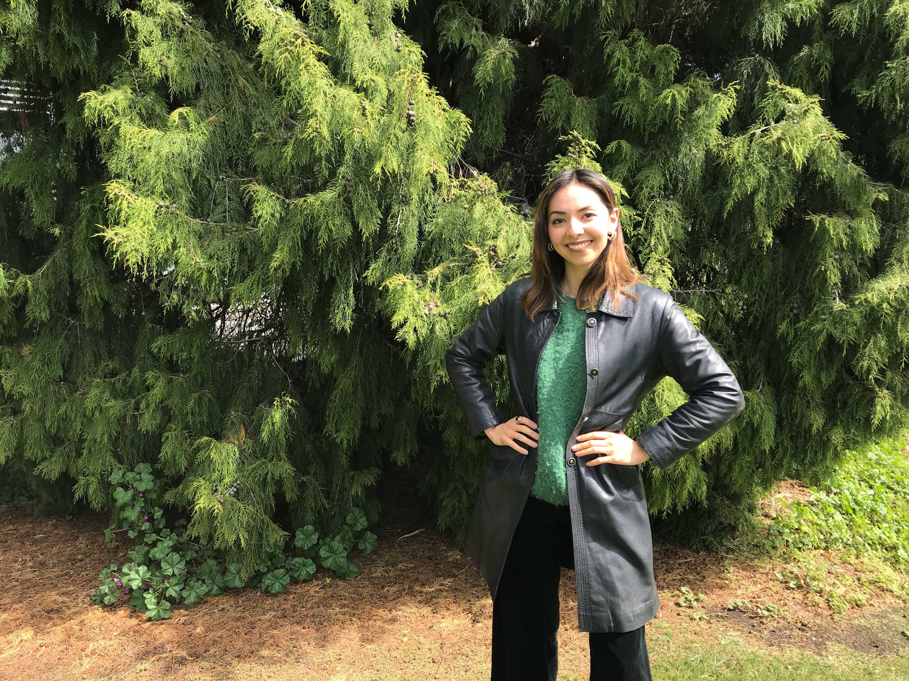 Breaking through the bamboo and glass ceiling - ABC listen