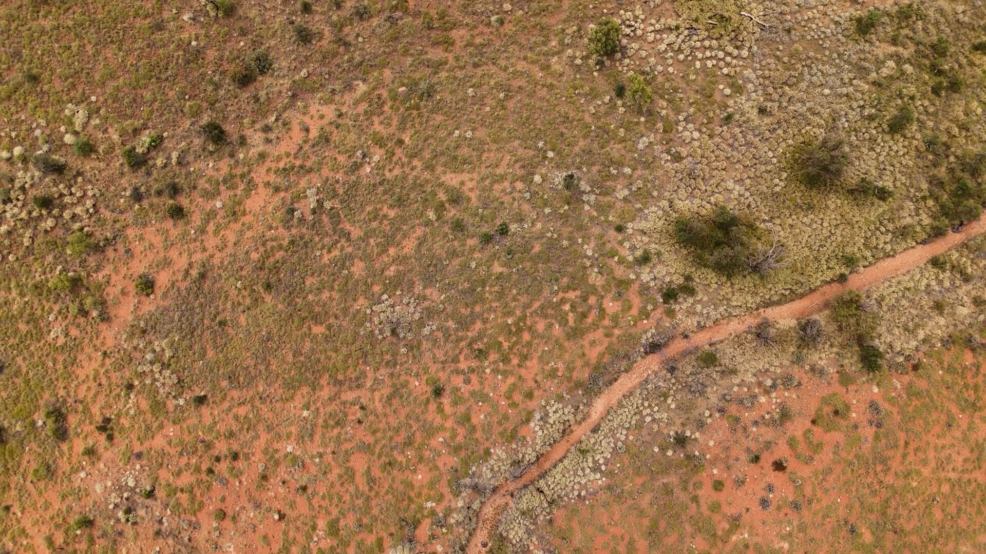 Yuendumu Drone 3 - ABC News