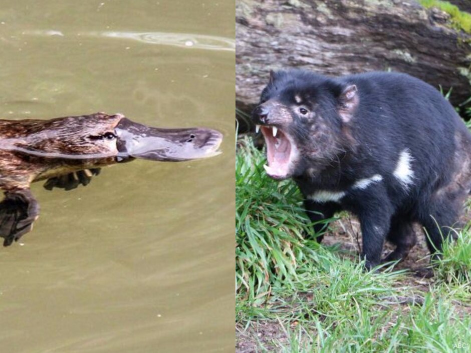 ACT Chief Minister Andrew Barr outlines plans to select Canberra's own ...