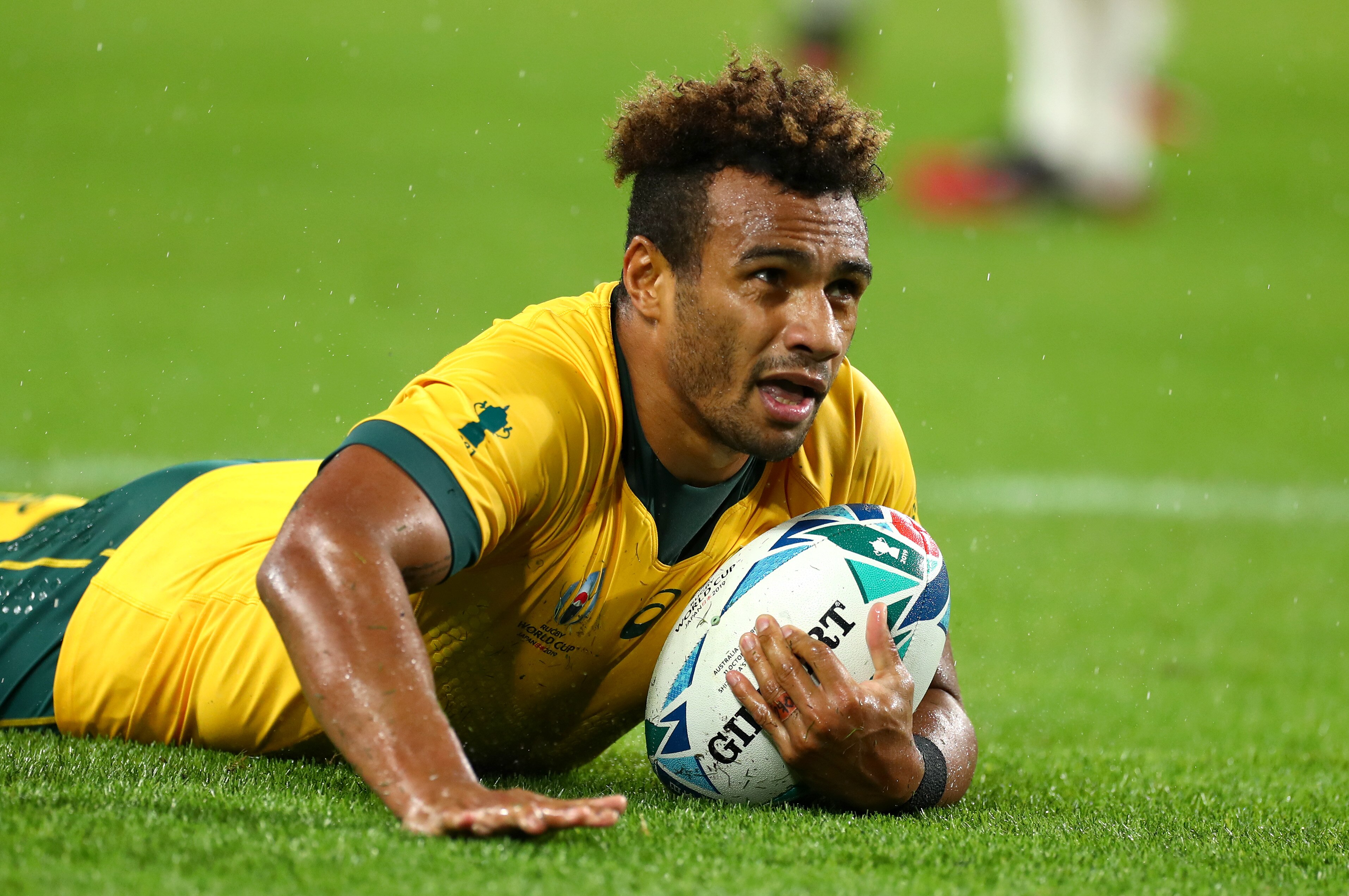 Wallabies can dare to dream at Rugby World Cup, 110-capped Wallaby Will ...