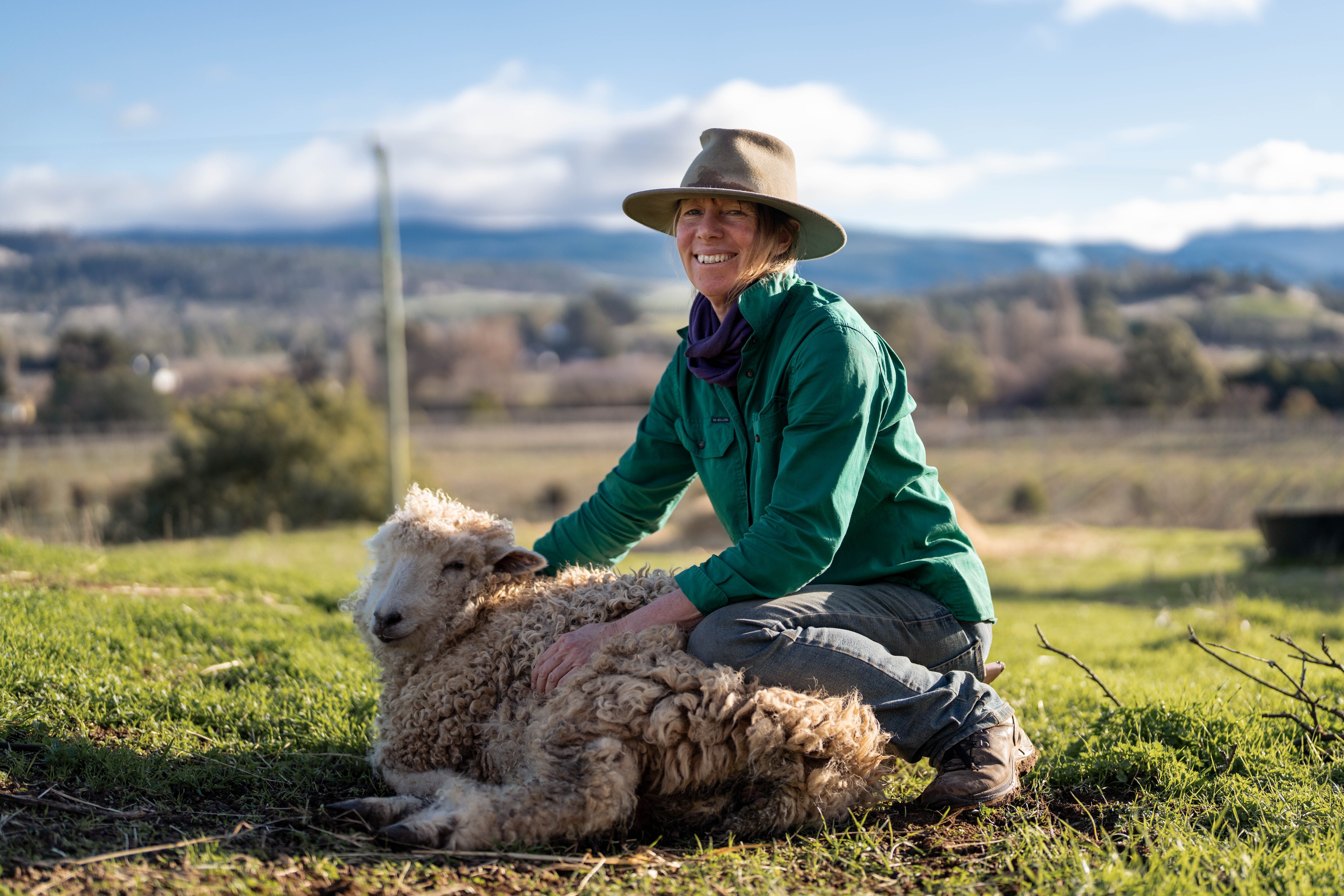 Meet the Tasmanian farmers keeping the English Leicester sheep breed ...