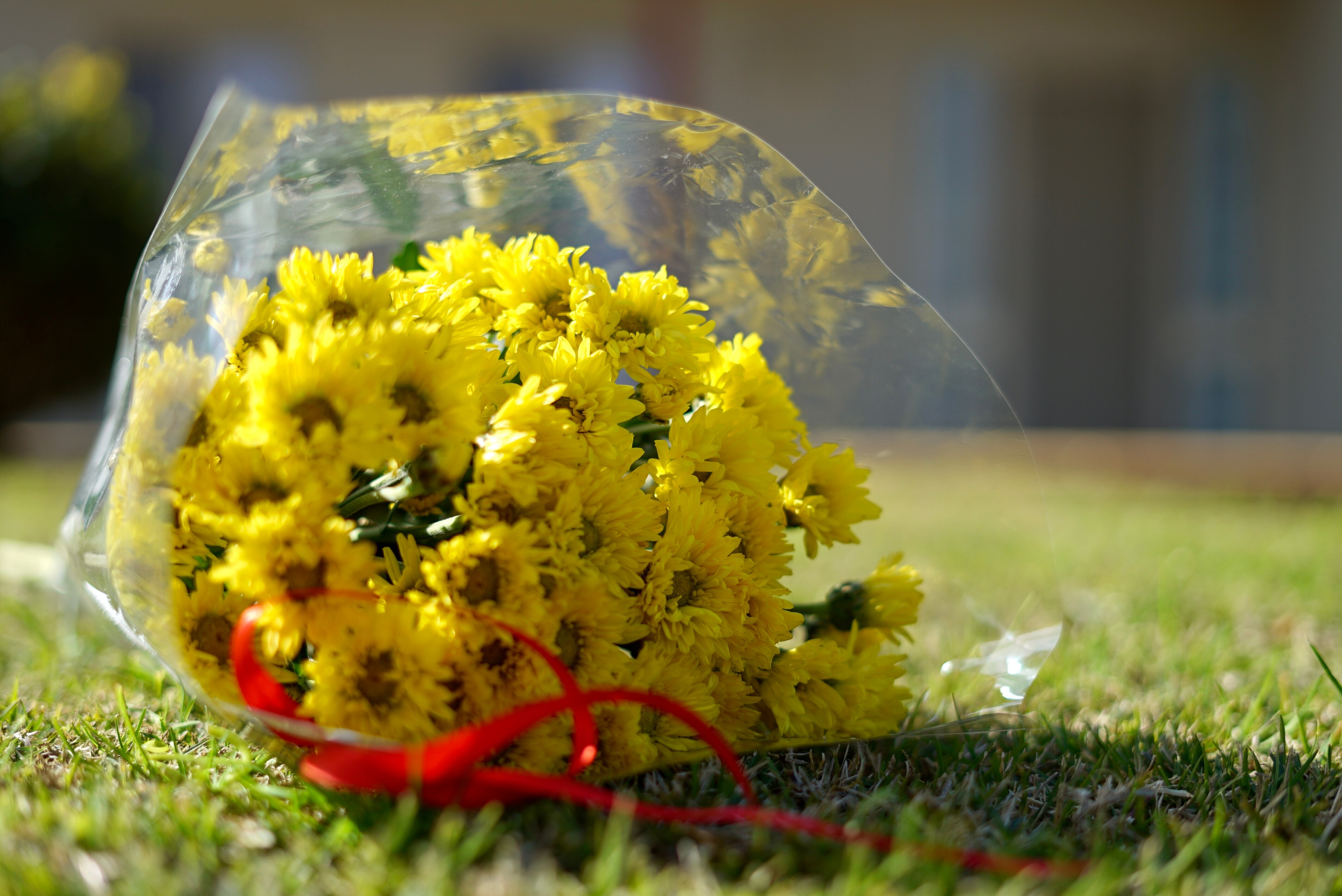 Axe-handle murder trial begins - ABC News