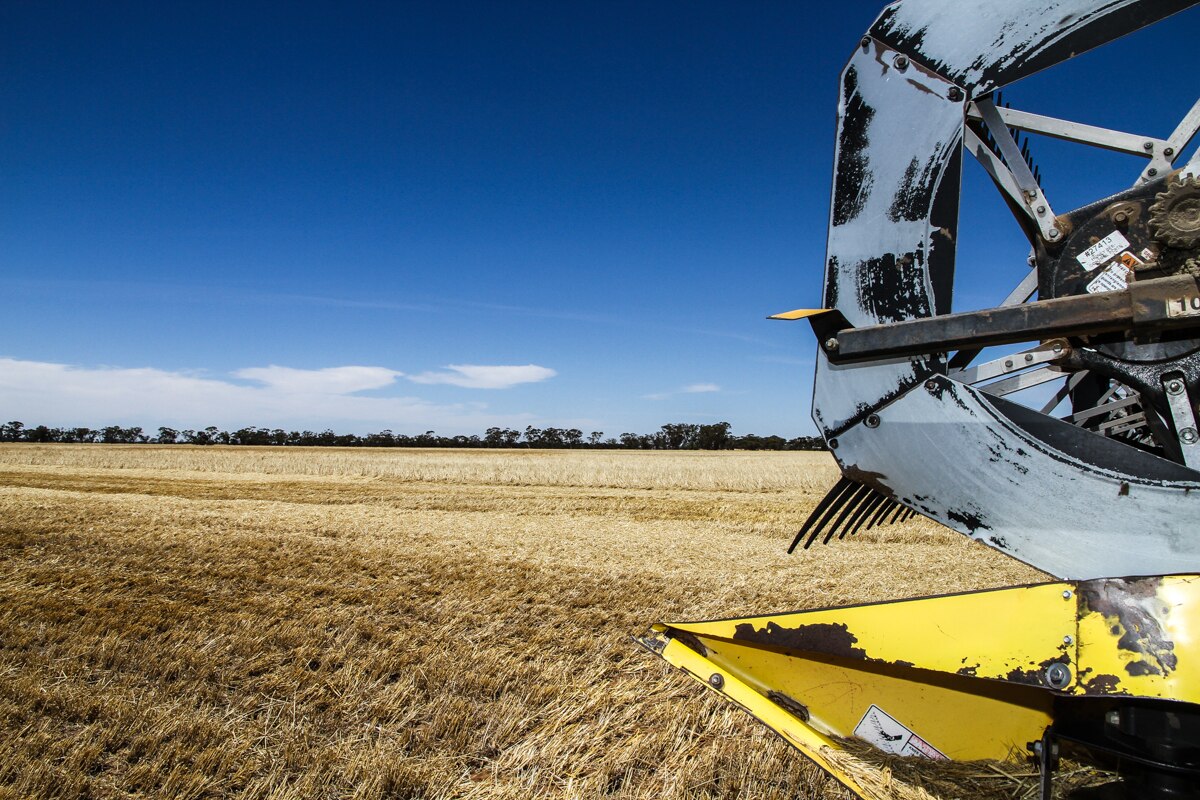 Income from bumper grain harvest starts to flow in regional economy ...