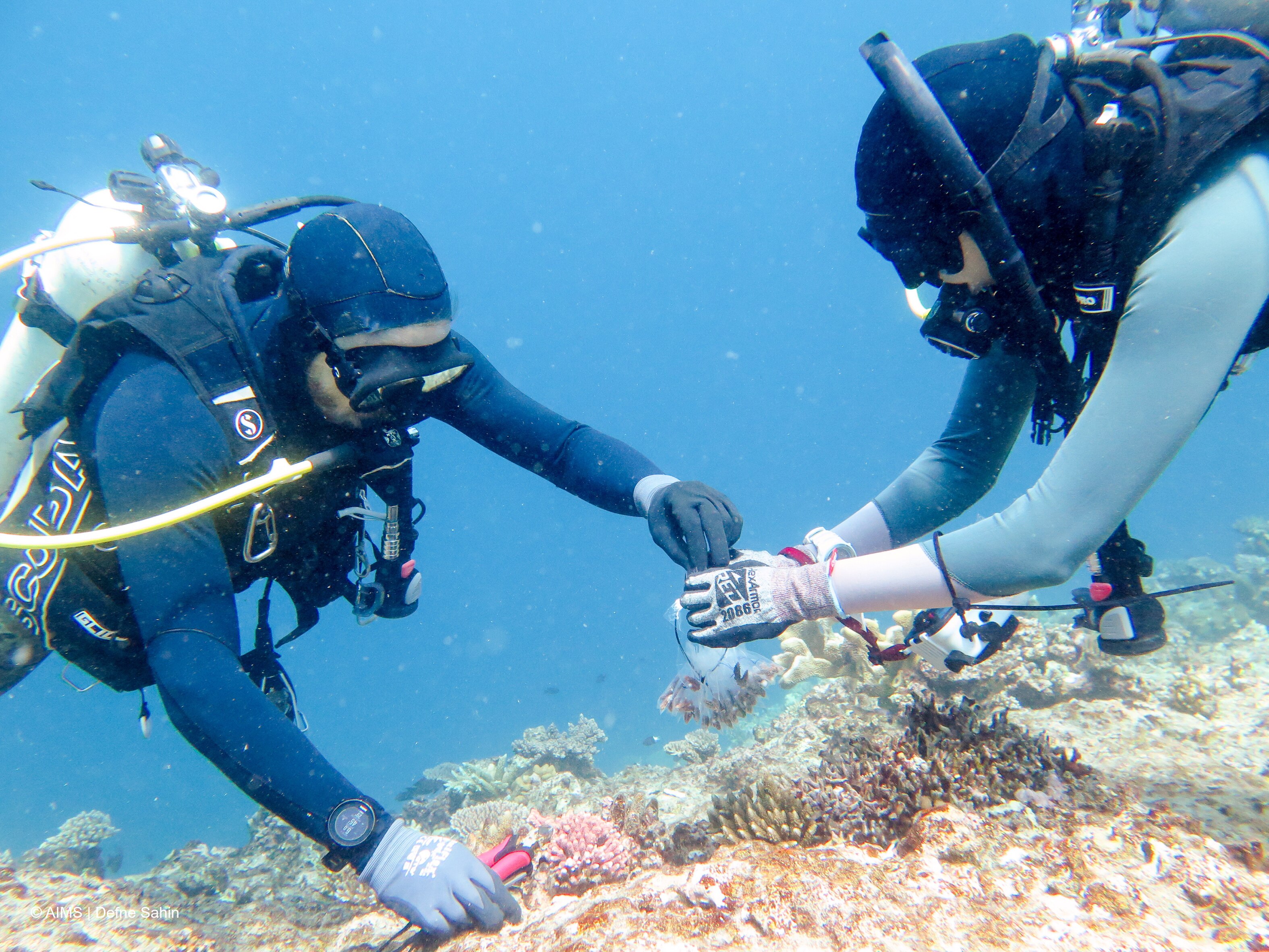 Storms bring heat reprieve to Ashmore and Scott reefs but scientists ...