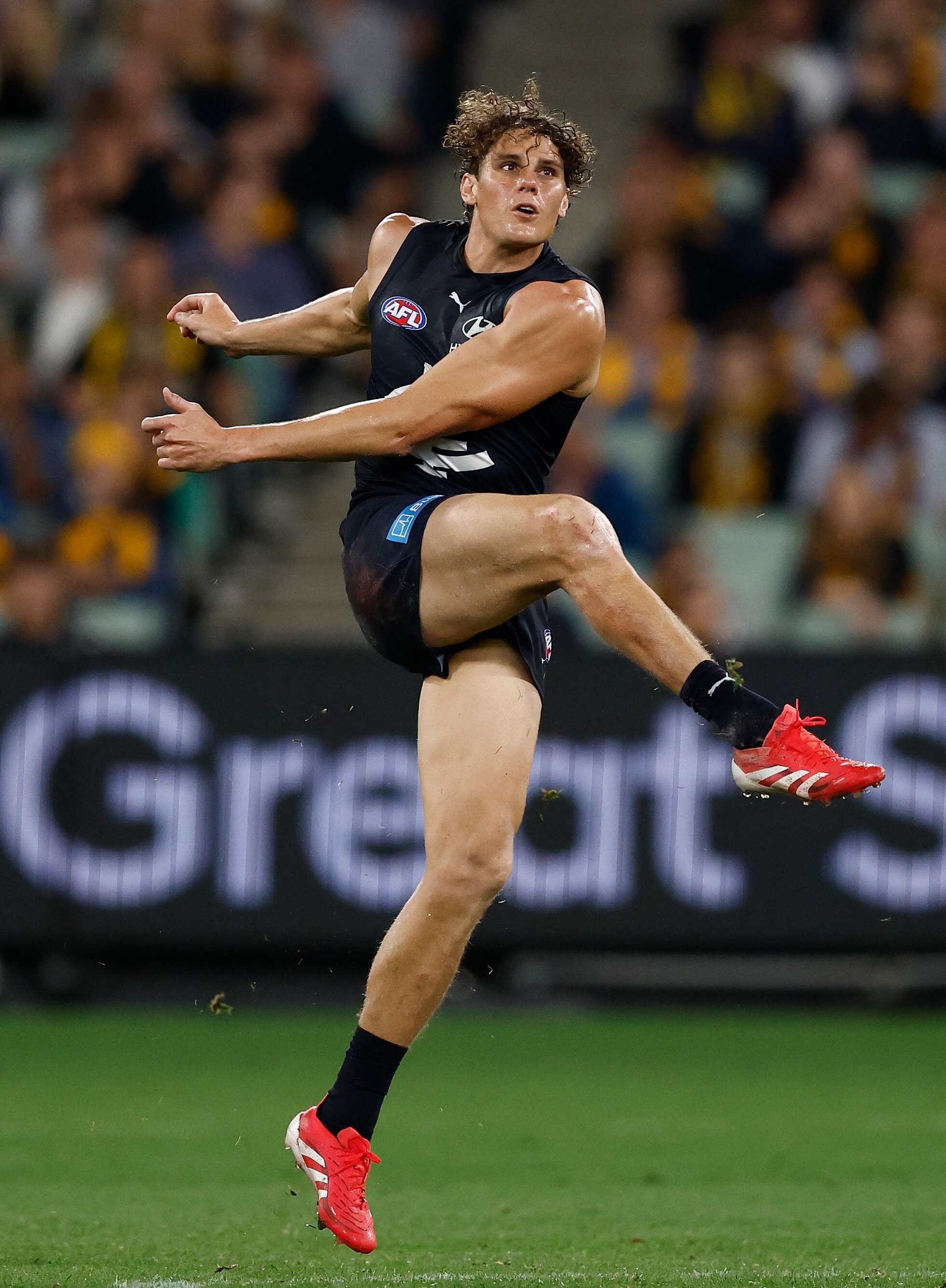 Carlton v Hawthorn - Round 23, 2024 - AFL Score Centre - ABC News