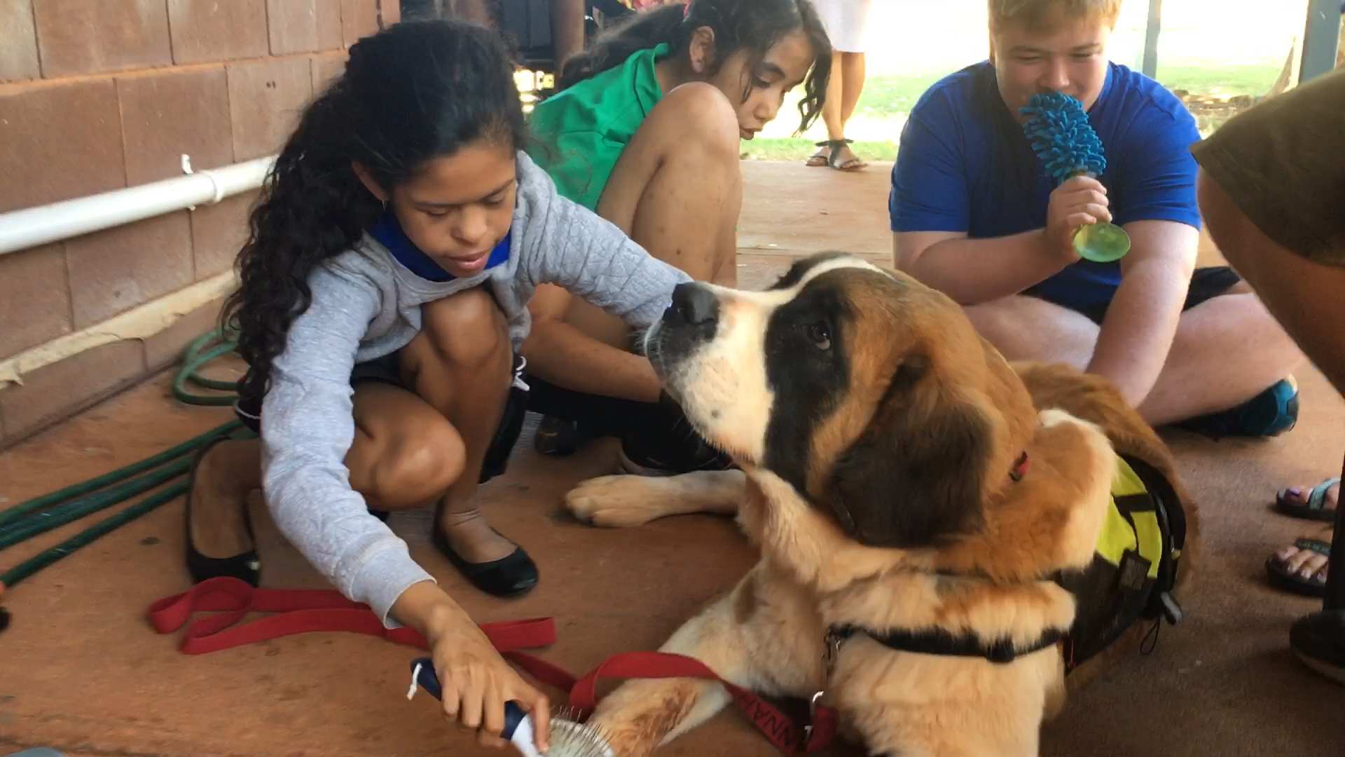 Teacher pays $10K for a companion dog to help her special education ...