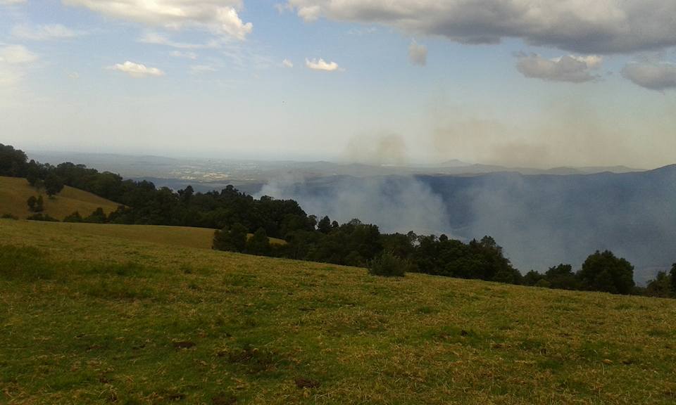 Major NSW link road Waterfall Way closed by bushfire between Dorrigo ...
