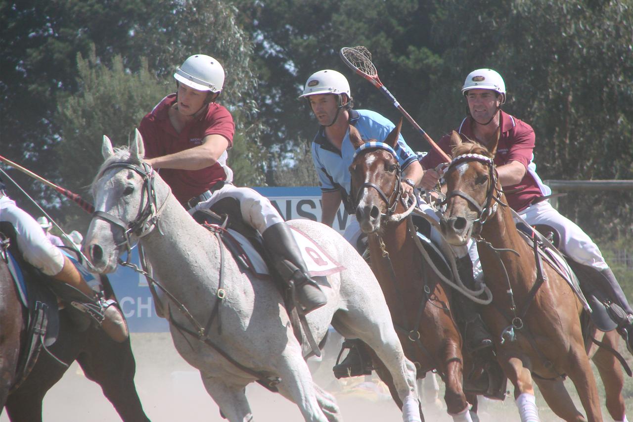 Horses and riders arriving for polocrosse championships - ABC News