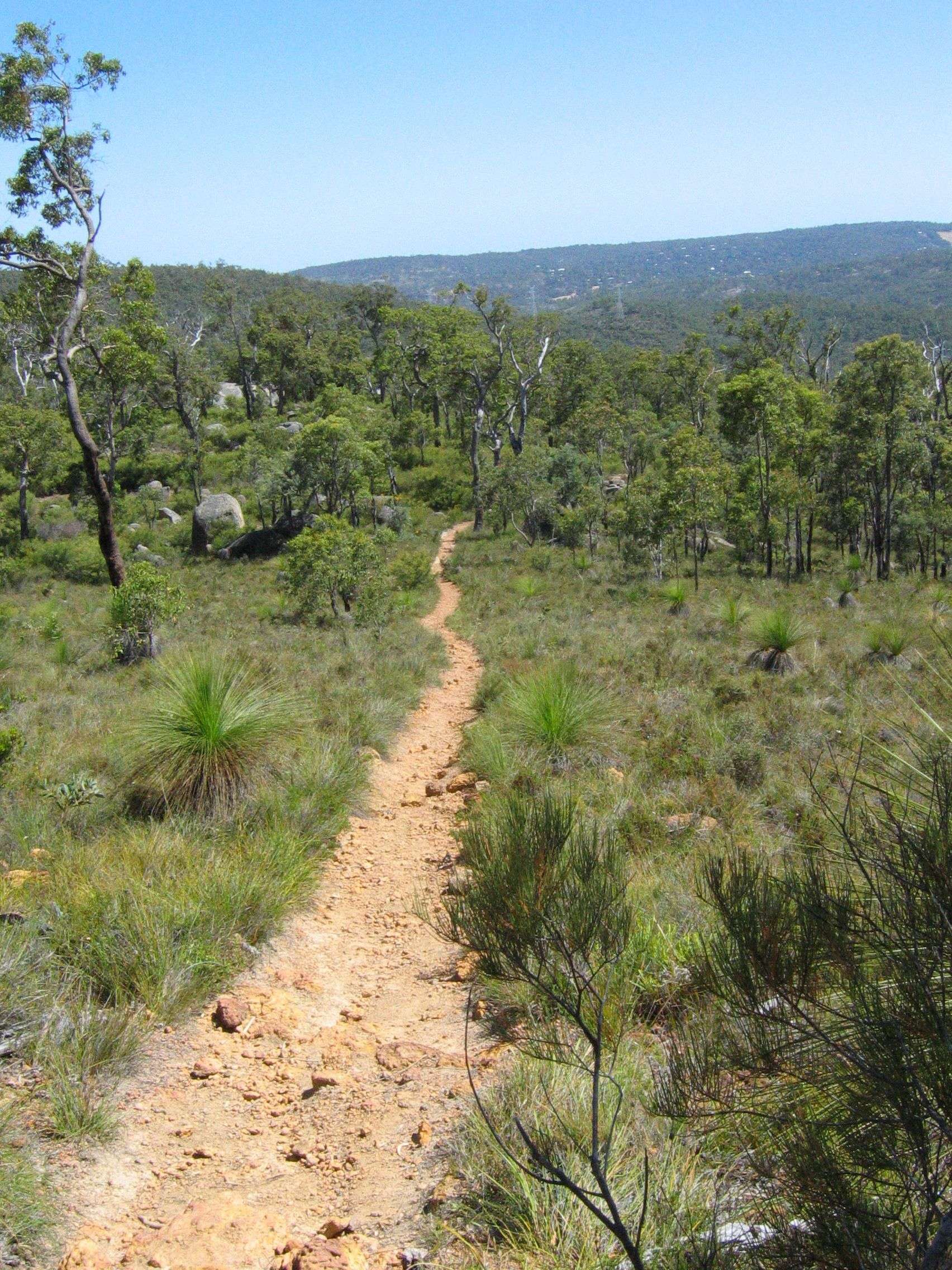Bibbulmun Track attack sees hikers allegedly run down, set upon by ...