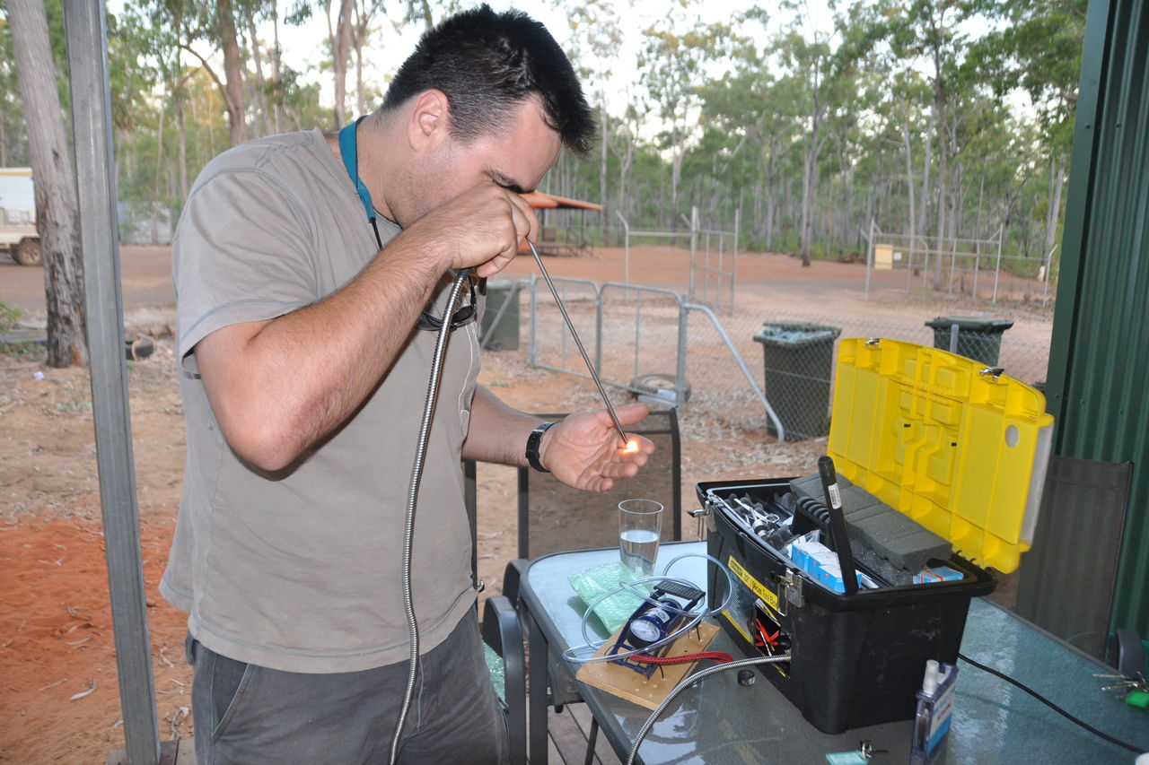 Turtle ovaries a telling sign of age - ABC News