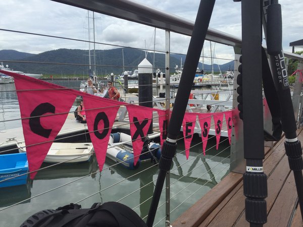 Women of Coxless Crew arrive in Cairns after rowing more than 15,000 ...
