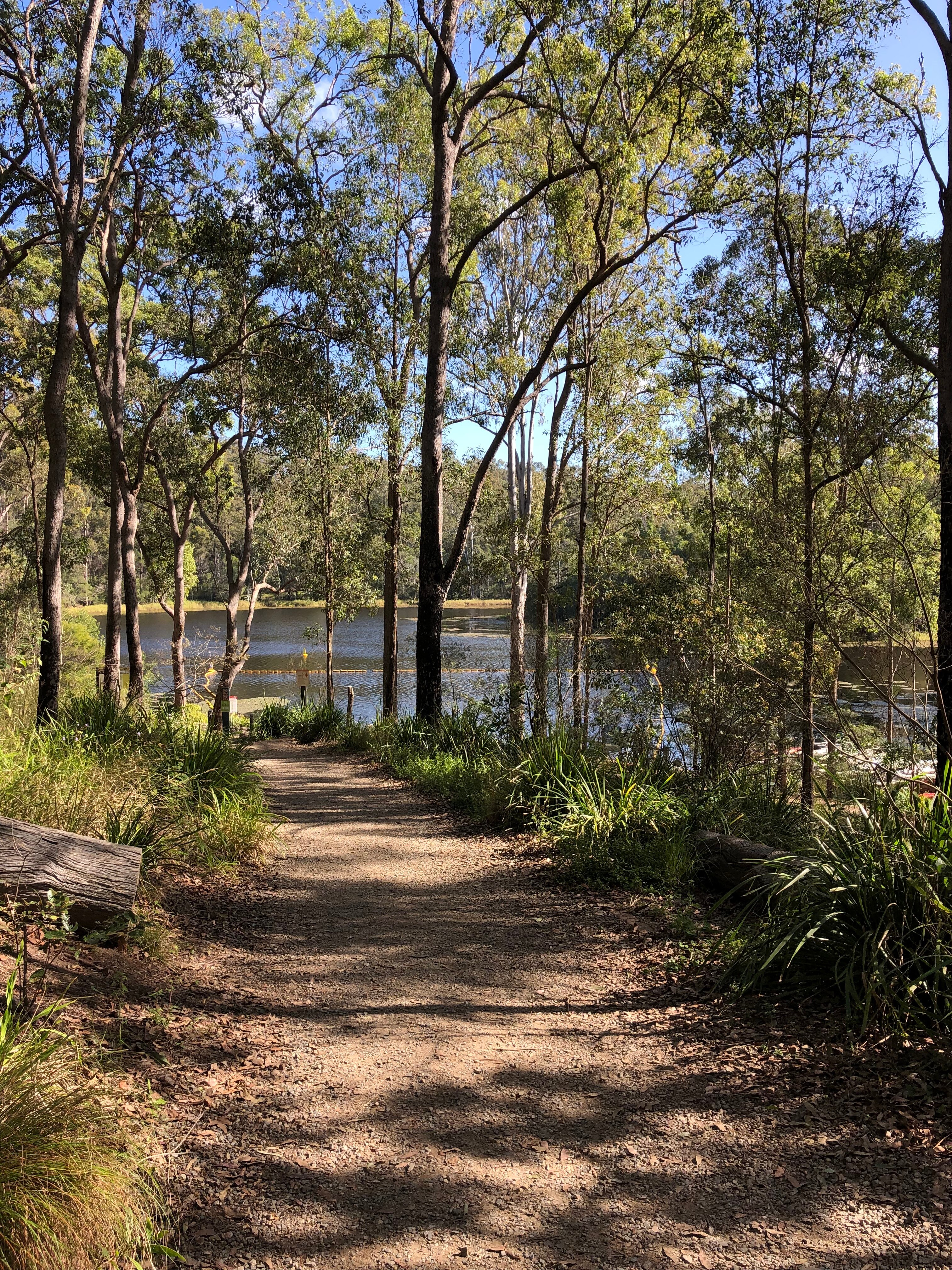 The best free nature walks to explore in and around Brisbane - ABC News