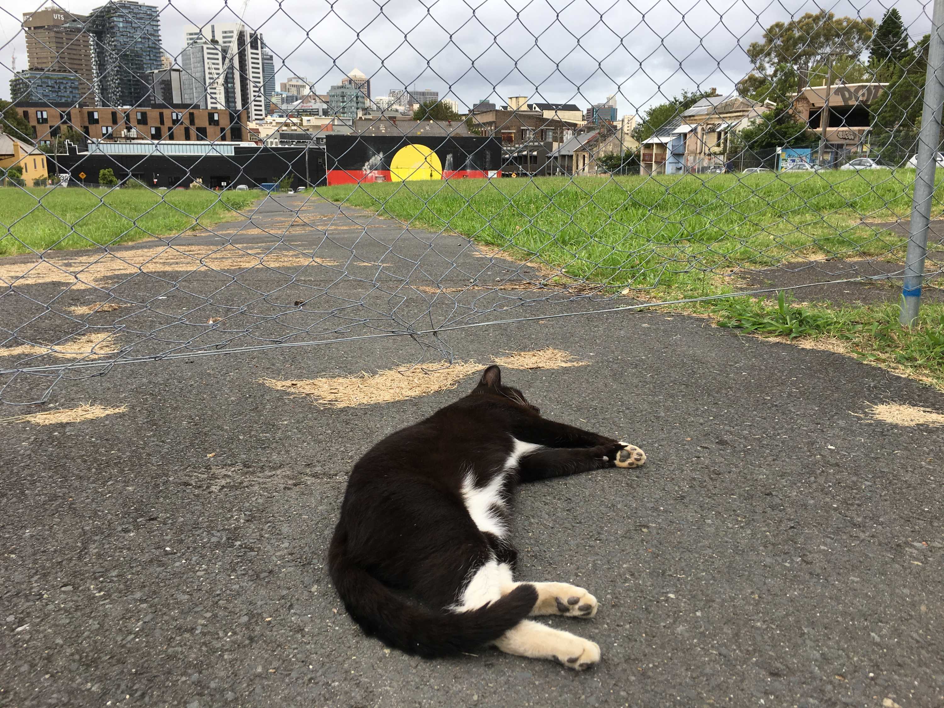 Redfern's the Block redevelopment public meeting prompts angry protests ...