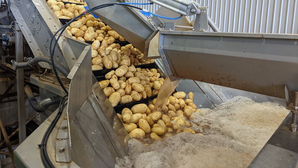 State of the art machinery doubles company's potato production capacity ...