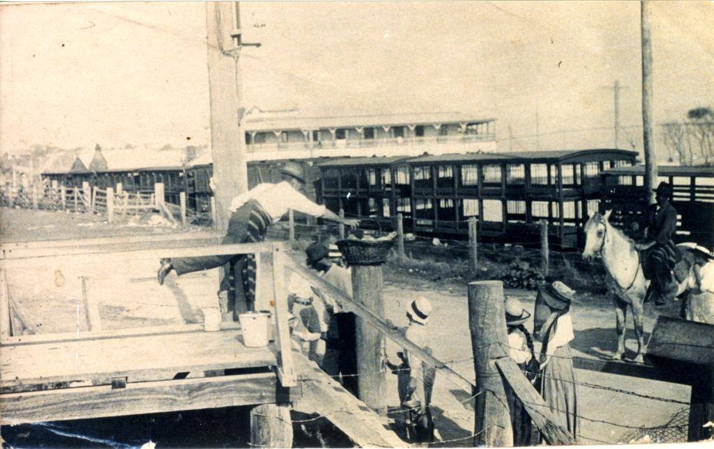 The deadly Spanish Flu and a dramatic border closure remembered 100 ...