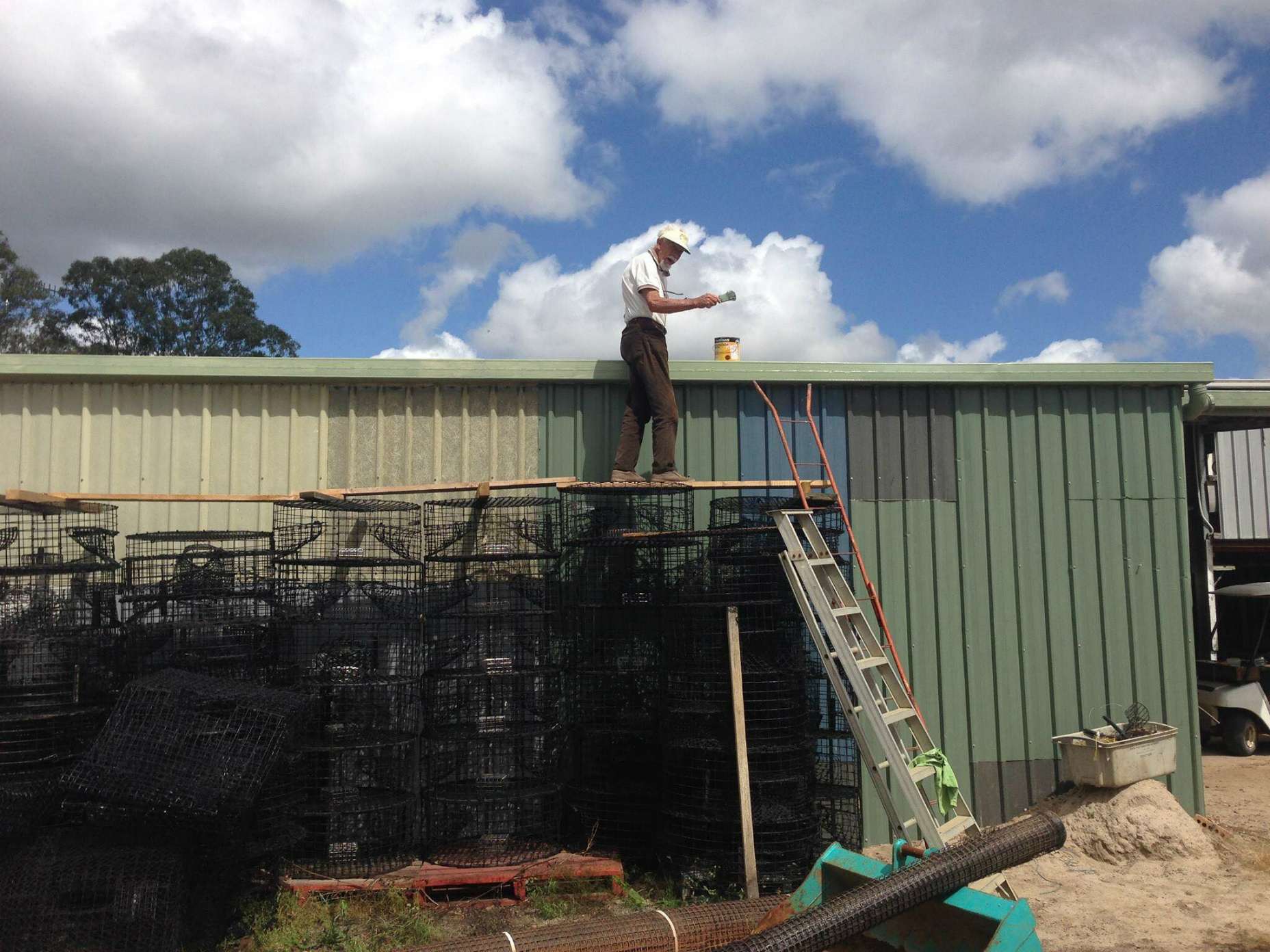 Golf buggy bulldozer bingle the latest misadventure of 88-year-old ...